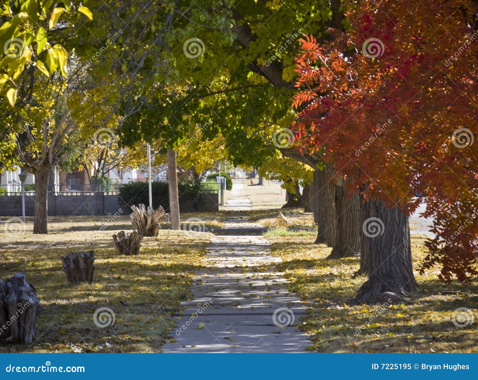 Sidewalk in Autumn stock image. Image of neighborhood - 7225195