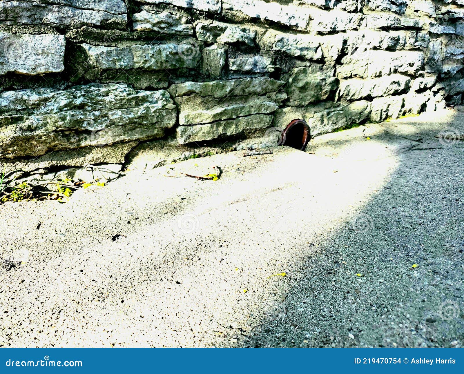 Sidewalk close up stock photo. Image of terrain, grass - 219470754