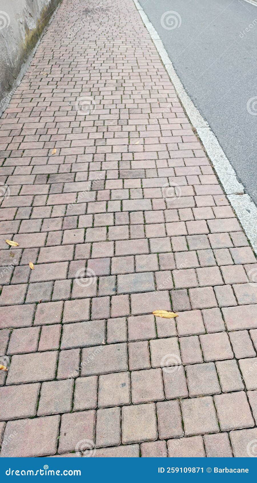 Sidewalk Close-up - Street in the City Stock Image - Image of colours ...