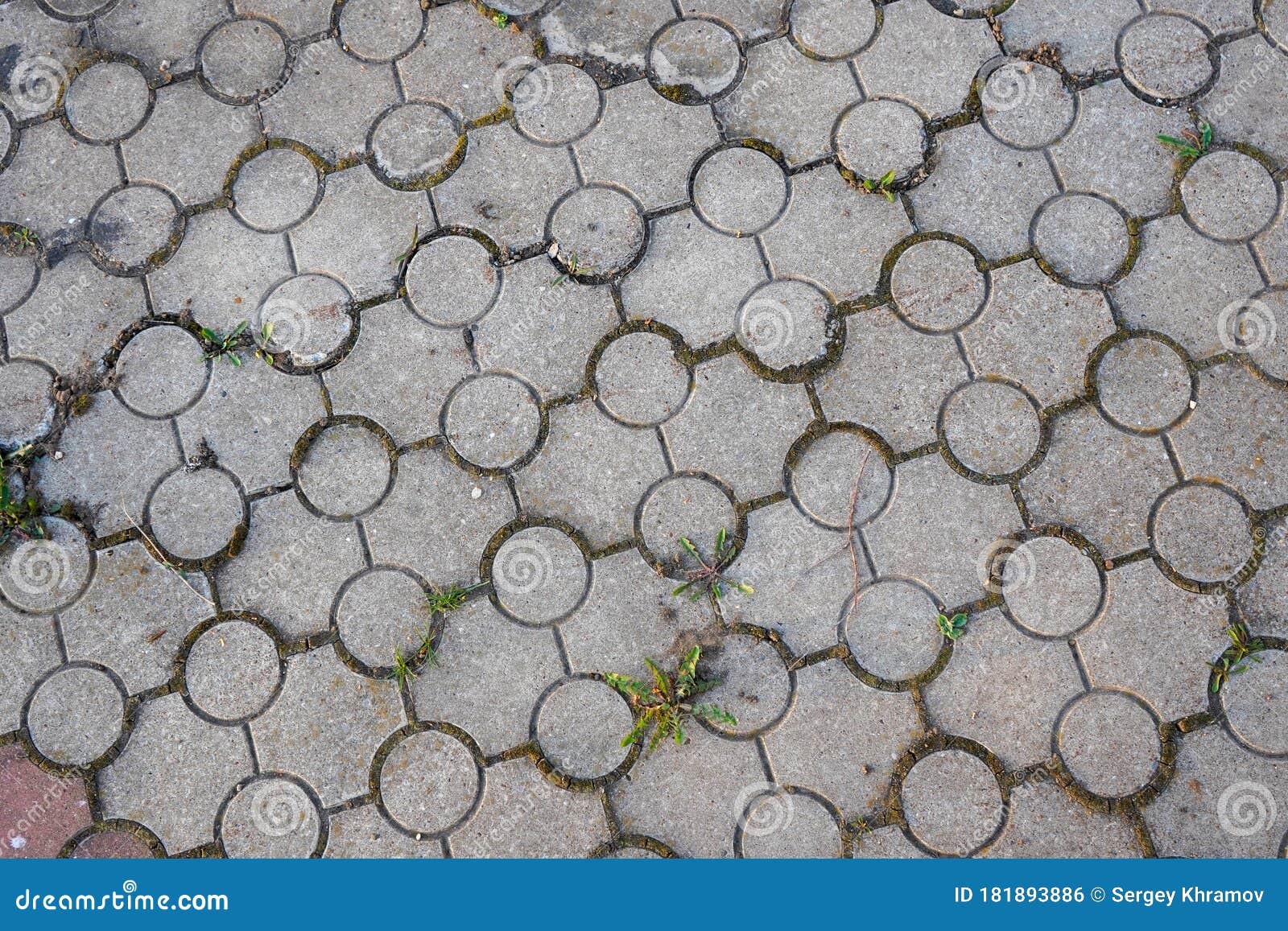 Sidewalk Concrete Tiles on a Sand Base in the Park. Sidewalk Path and ...