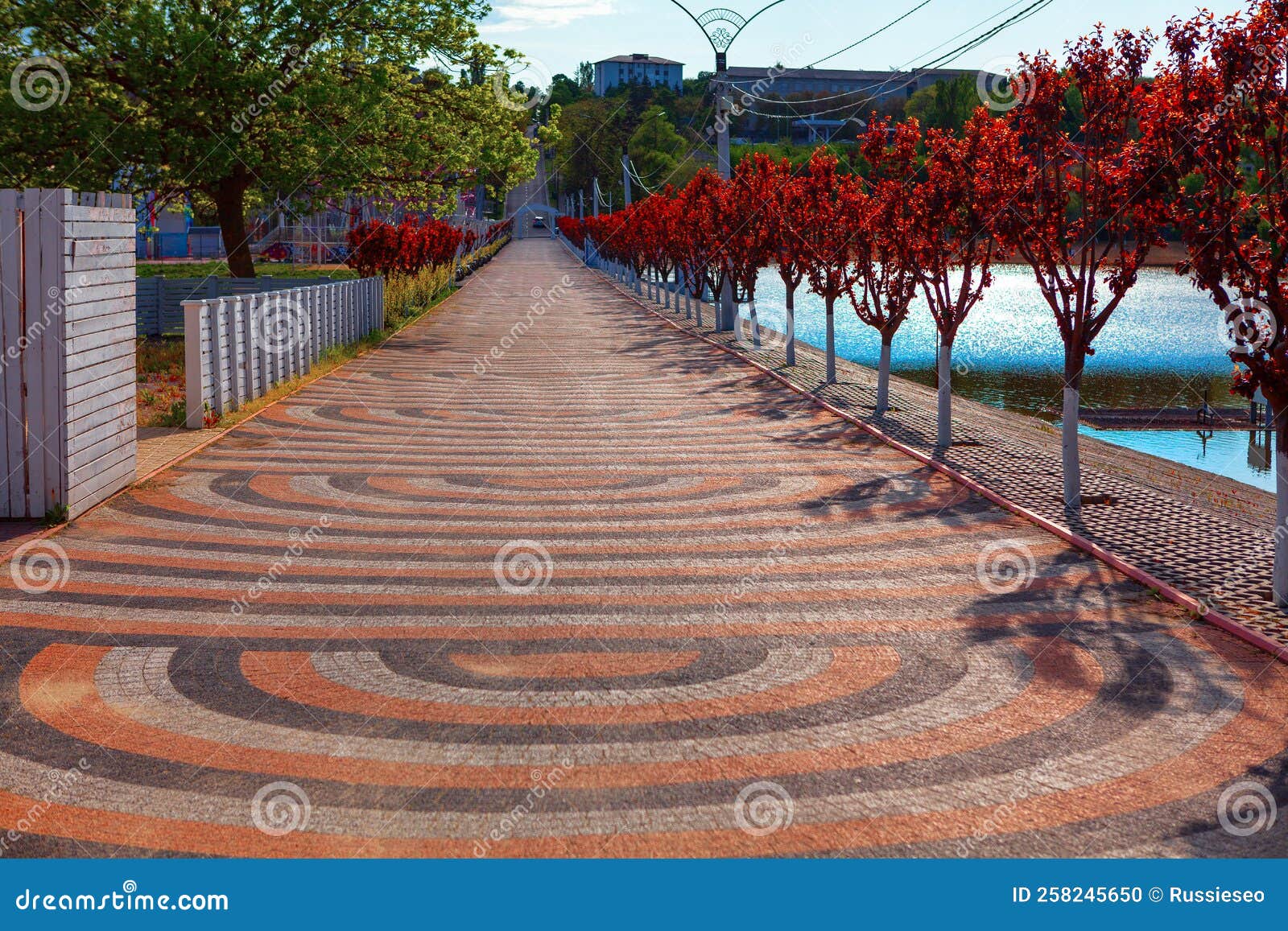 Sidewalk with Decorative Trees Stock Photo - Image of pavement ...