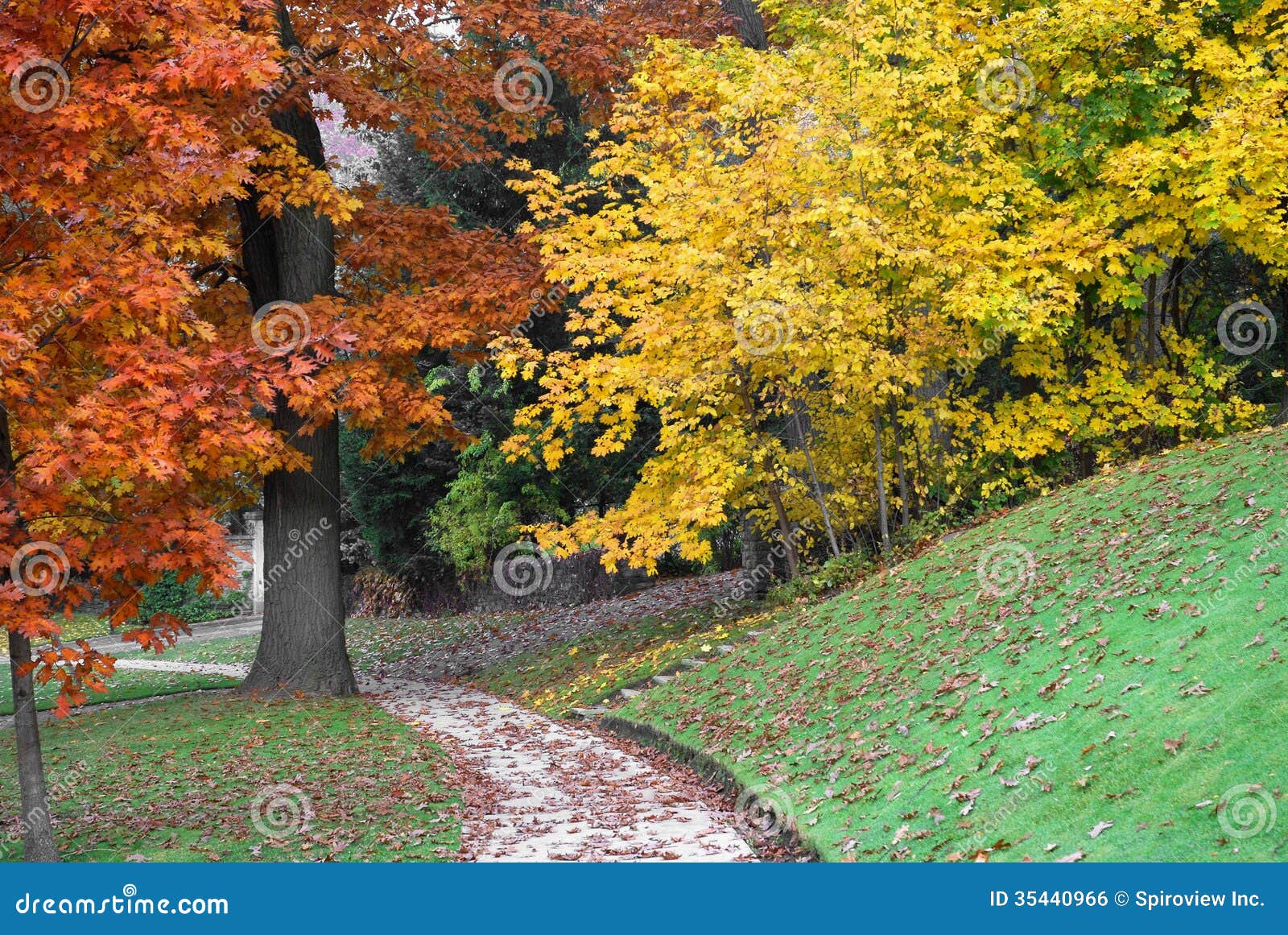 Sidewalk with fall colors stock photo. Image of tree - 35440966