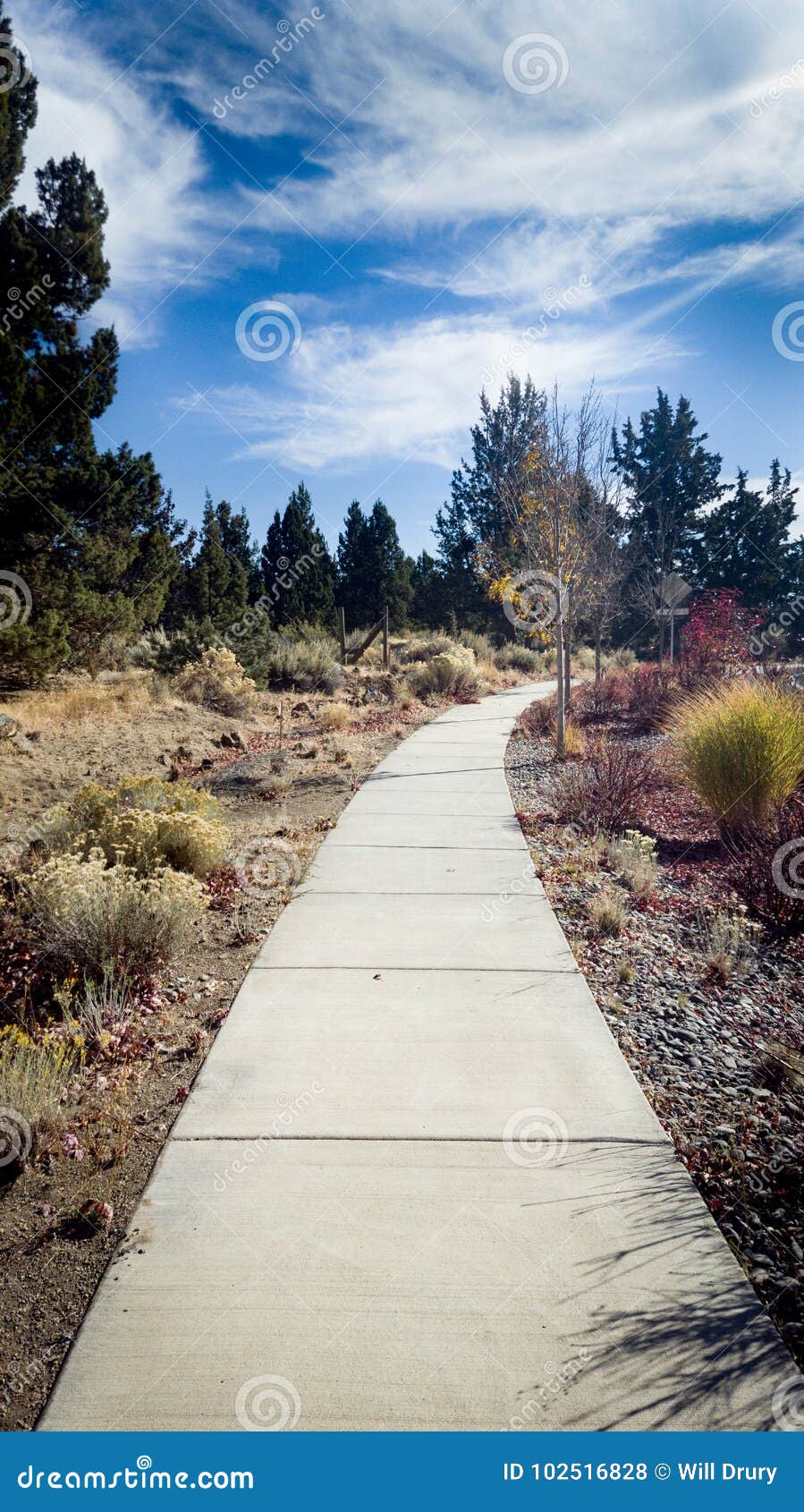 Sidewalk in Fall colors stock photo. Image of leaves - 102516828