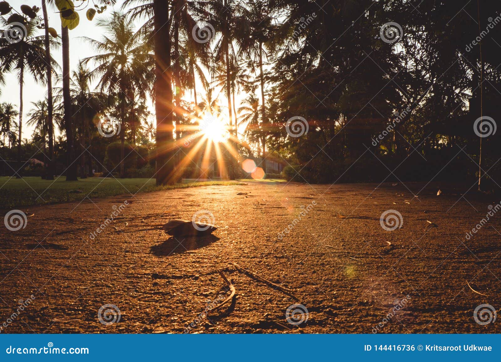 Sidewalk with Fallen Leaves at the Sunset Time. Stock Photo - Image of ...