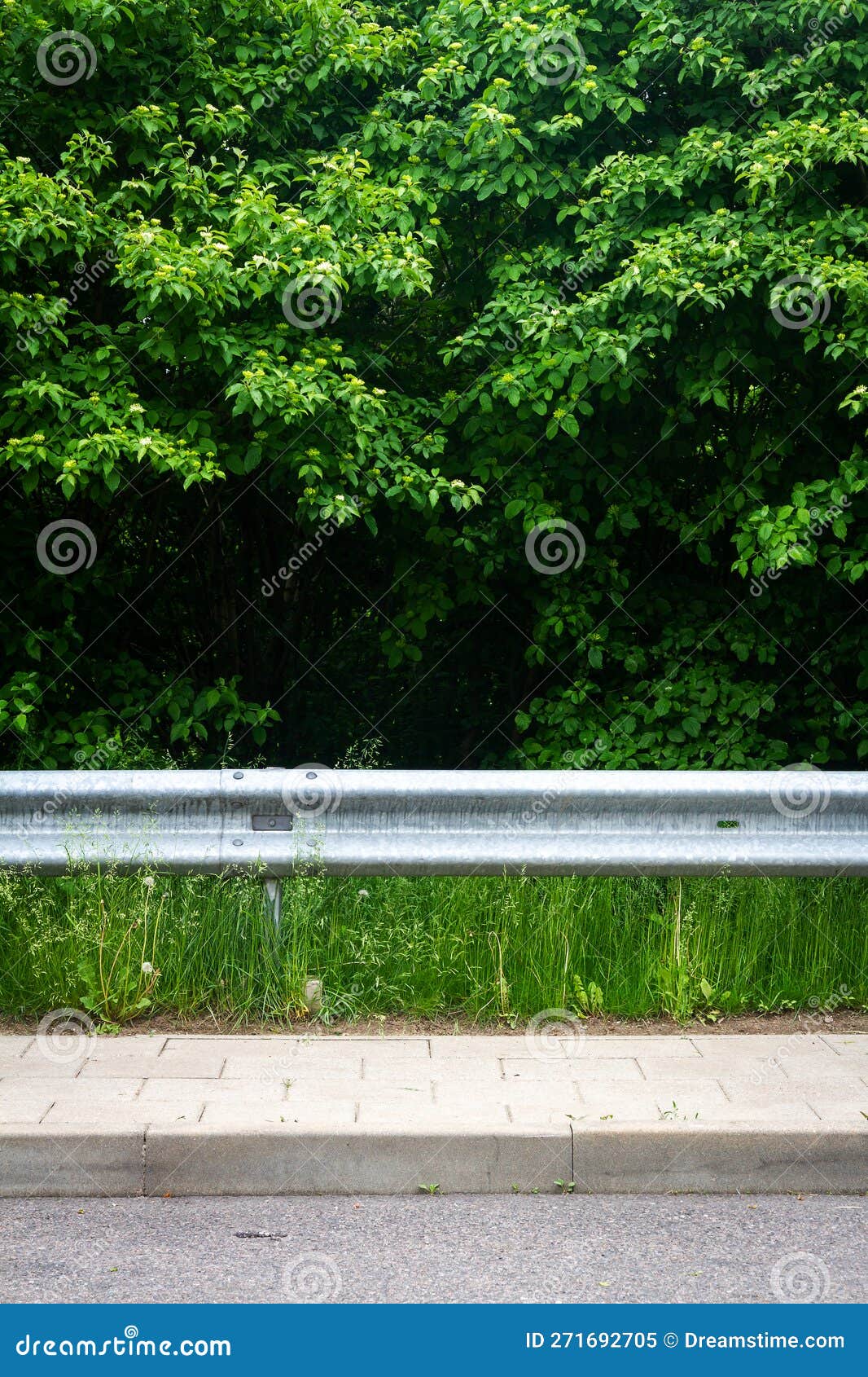 Sidewalk, Highway Guard Rail, Green Grass and Bushes Stock Image ...