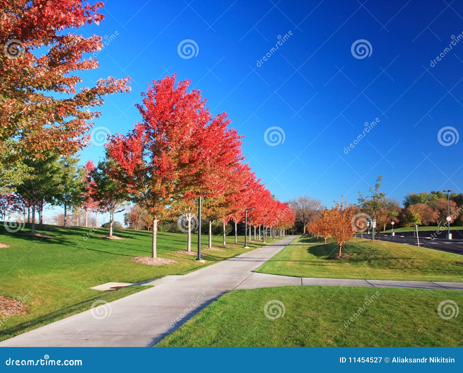 Sidewalk horizontal view stock image. Image of foliage - 11454527