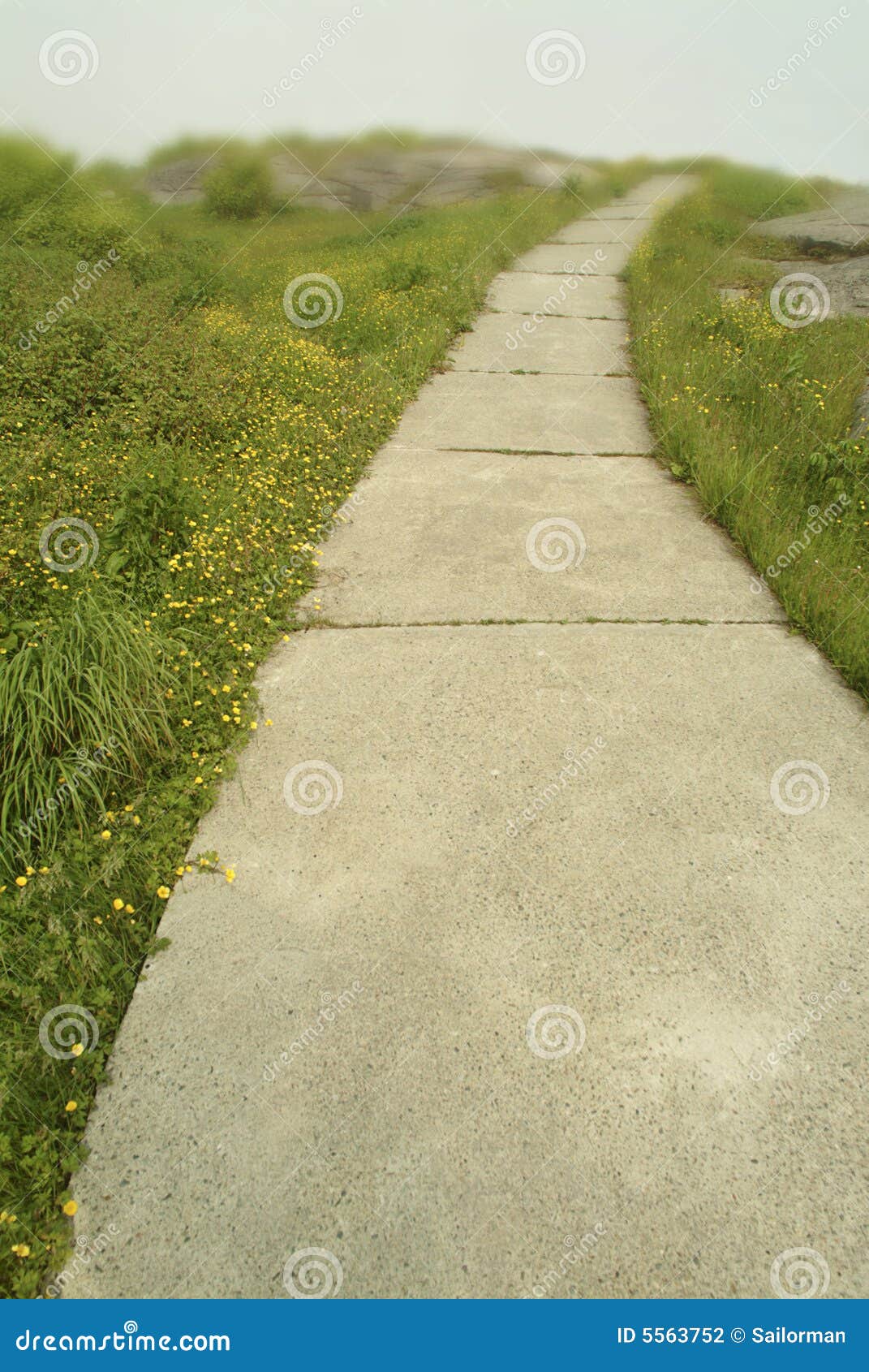 Sidewalk Leads To Upscale House With White Shutters And Columns And ...