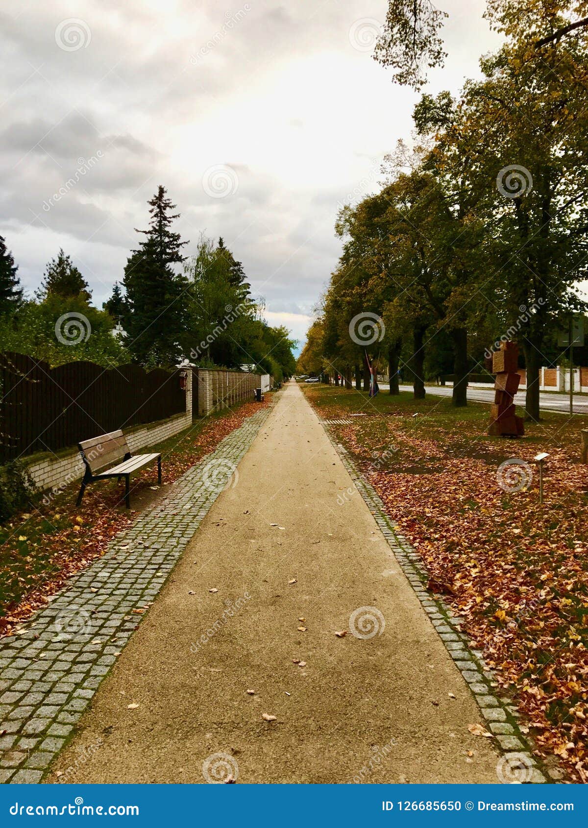 Sidewalk Lined Trees Stock Images - Download 491 Royalty Free Photos