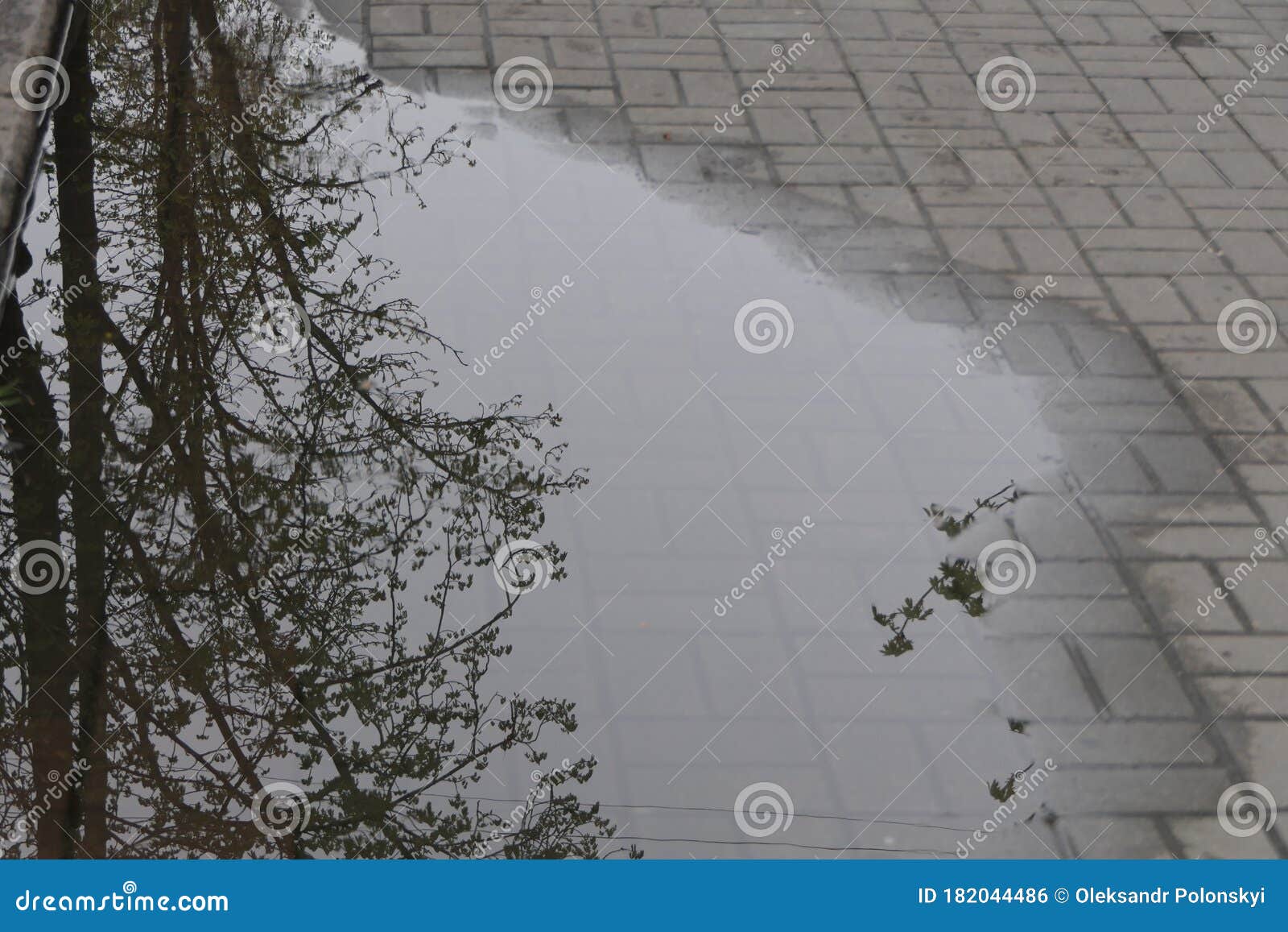 Rain Puddle On Sidewalk