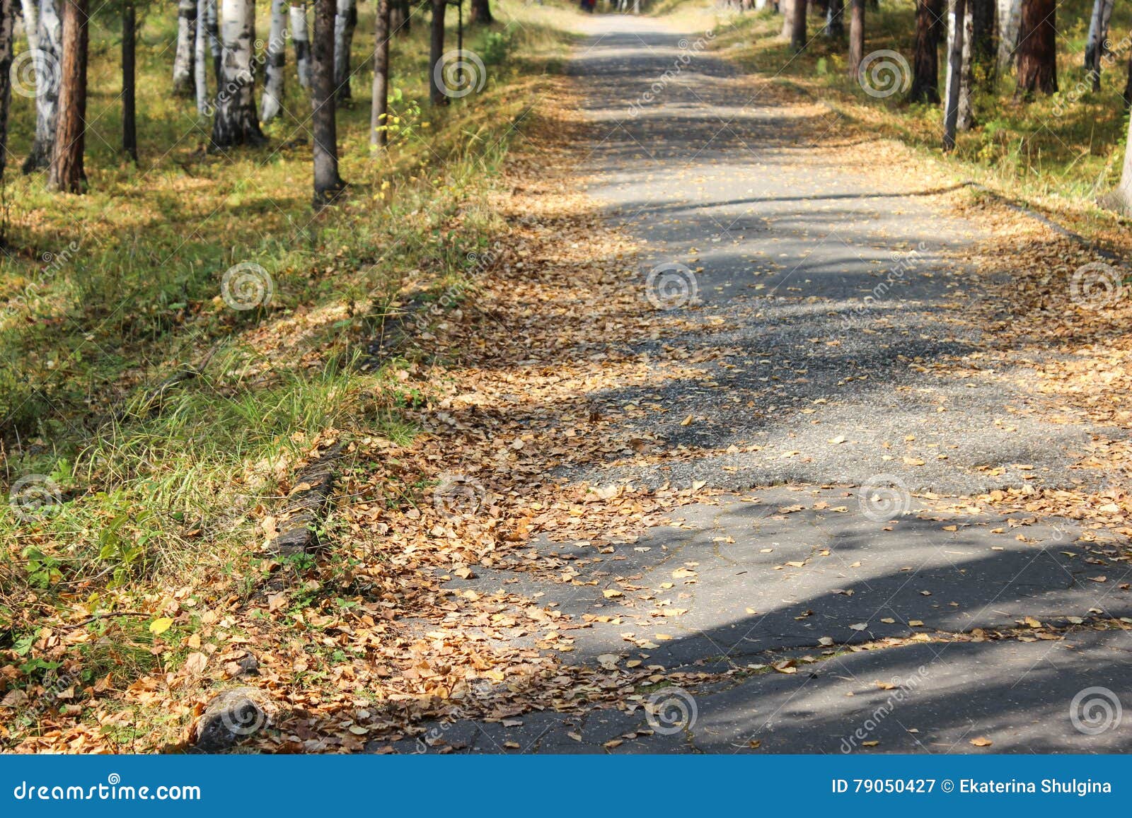 The Sidewalk in the Park in Autumn Stock Image - Image of walkway ...