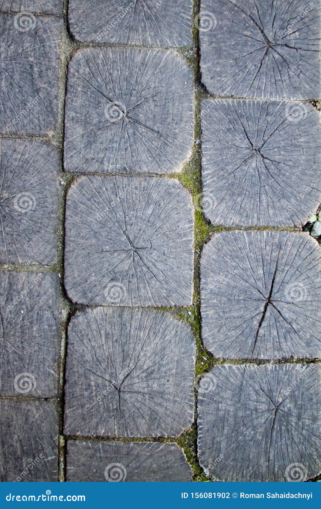 Sidewalk or Park Path Made of Wooden Slices, Background with Wood ...