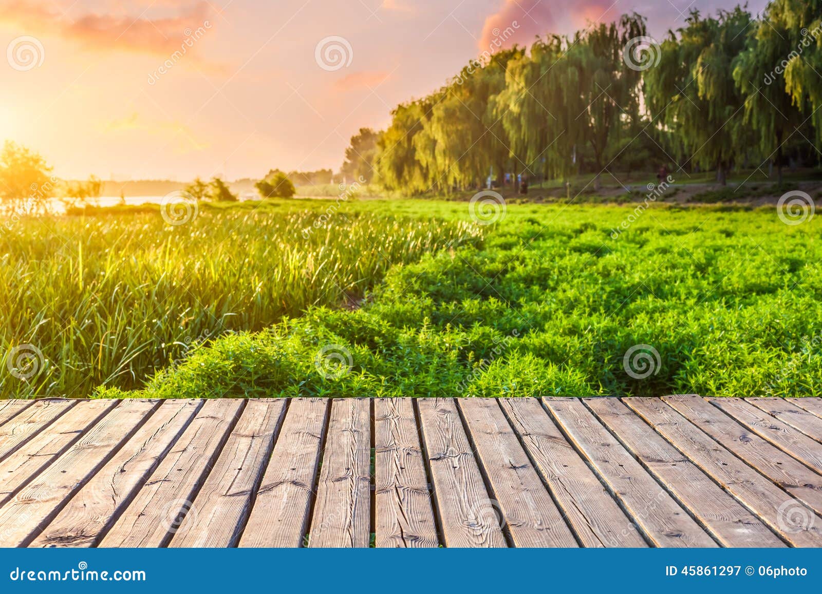 Sidewalk in the park stock image. Image of beautiful - 45861297