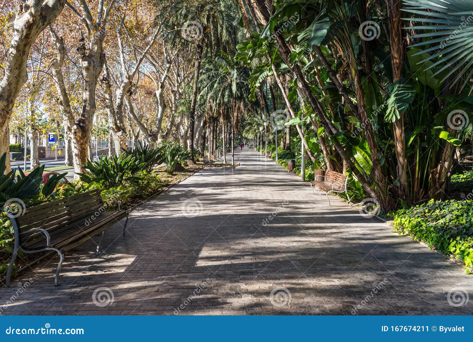 Sidewalk on the Paseo Del Parque in Malaga, Spain Stock Image - Image ... Sidewalk on the Paseo Del Parque in Malaga, Spain Stock Image - Image ...
