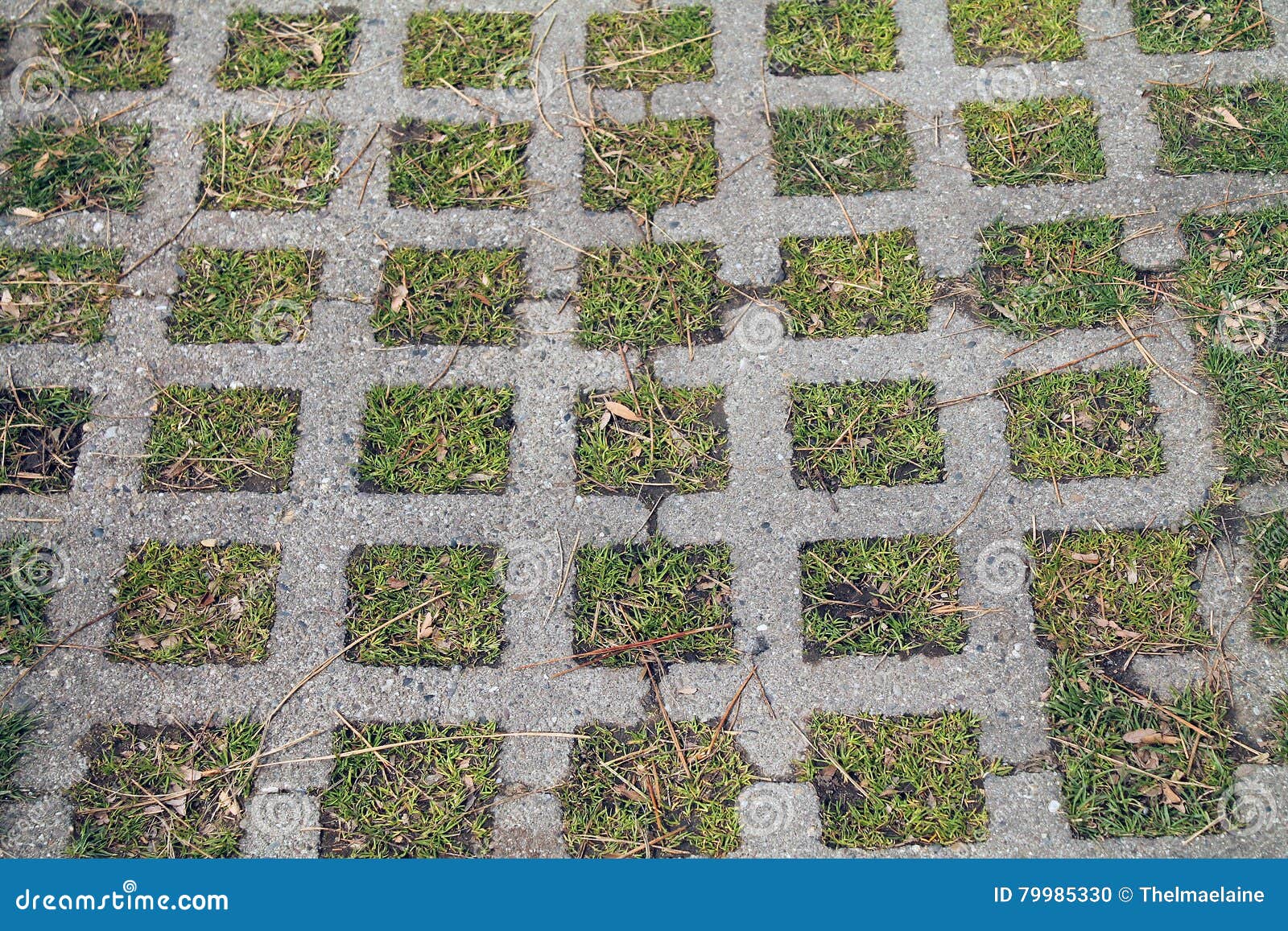 Squares Of Grass And Concrete - Modern Outdoor Pavement. Stock Photo ...
