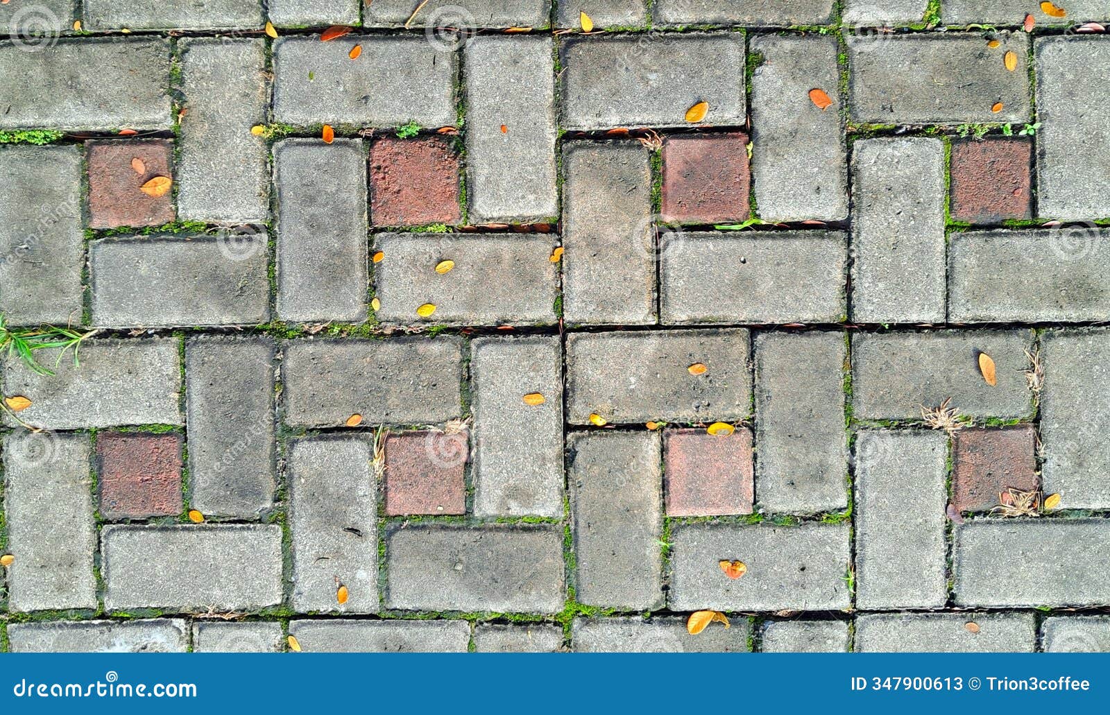 Sidewalk with Rectangular and Square Paving Blocks Stock Image - Image ...