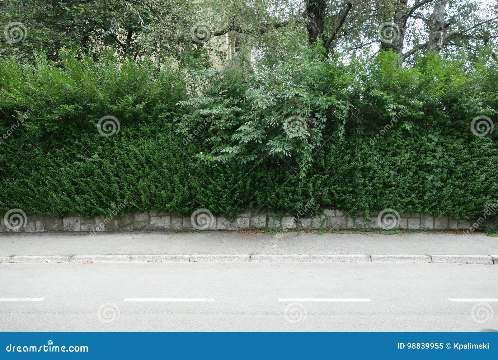 33,113 Sidewalk Residential Stock Photos - Free & Royalty-Free Stock ...
