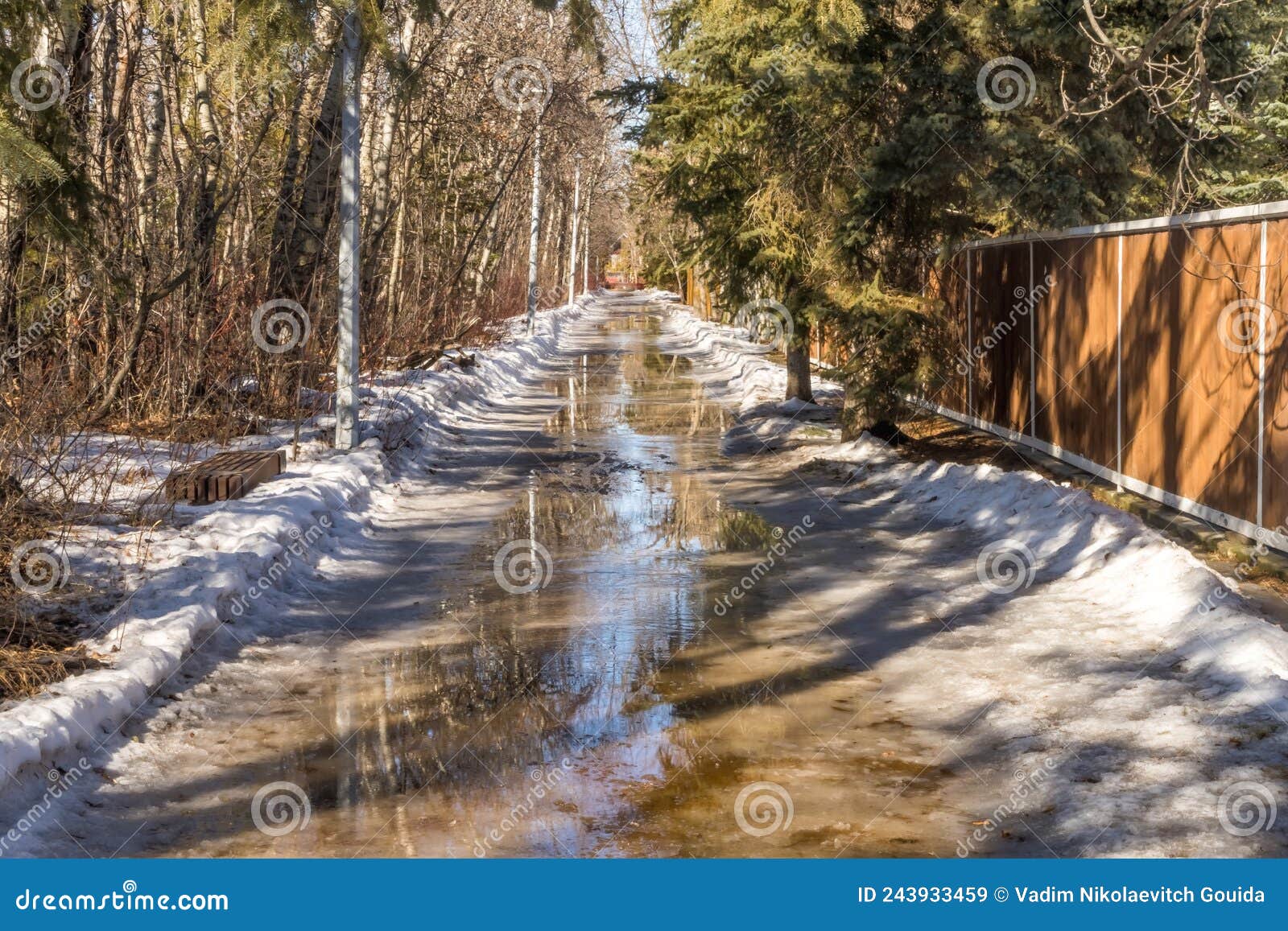 Sidewalk Spring Melt Landscape Stock Image - Image of snow, city: 243933459