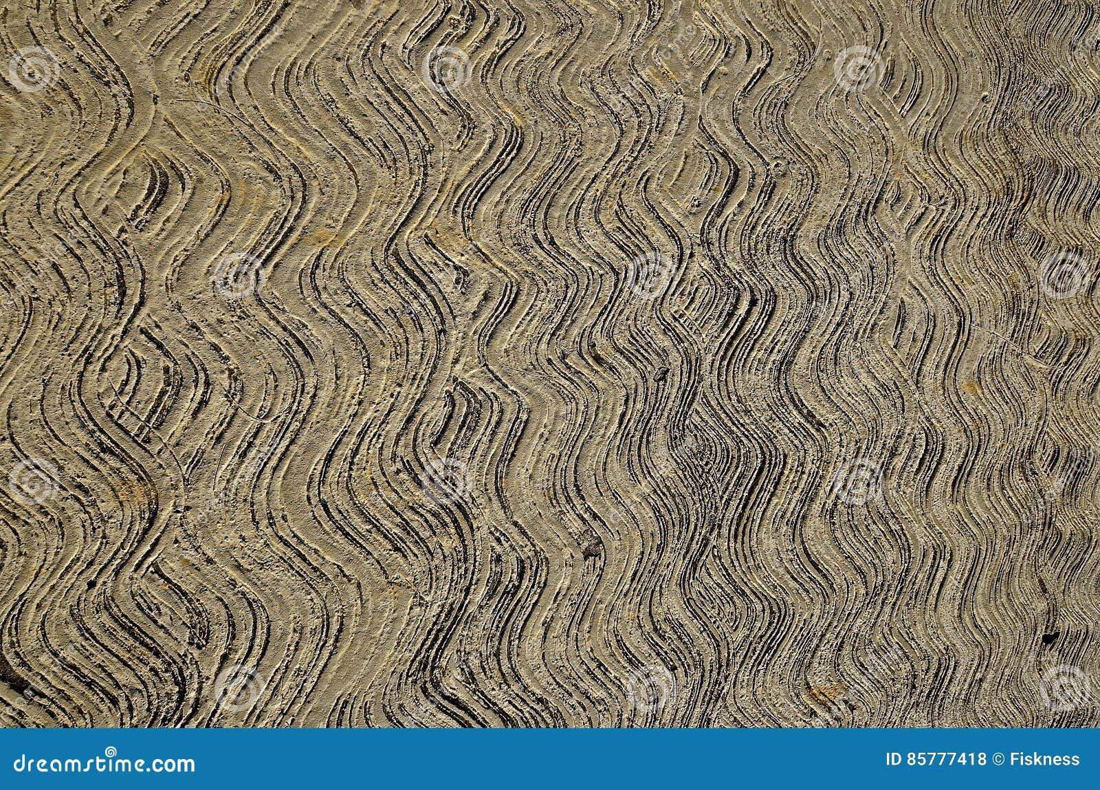 Sidewalk Texture from Sweeping Wet Concrete Stock Photo - Image of ...