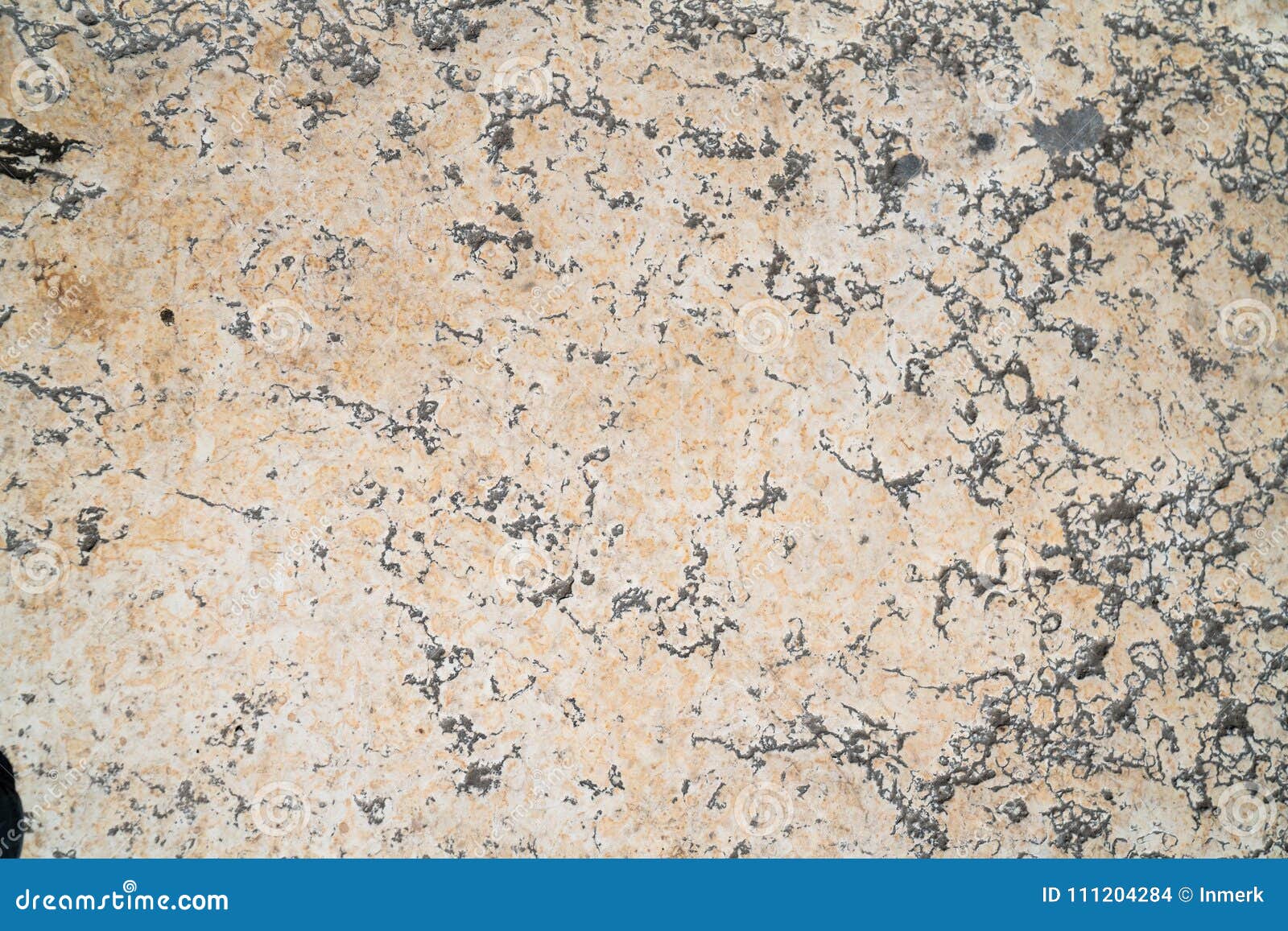 Sidewalk Tile, The Texture Of The Sidewalk On The Temple Mount In ...