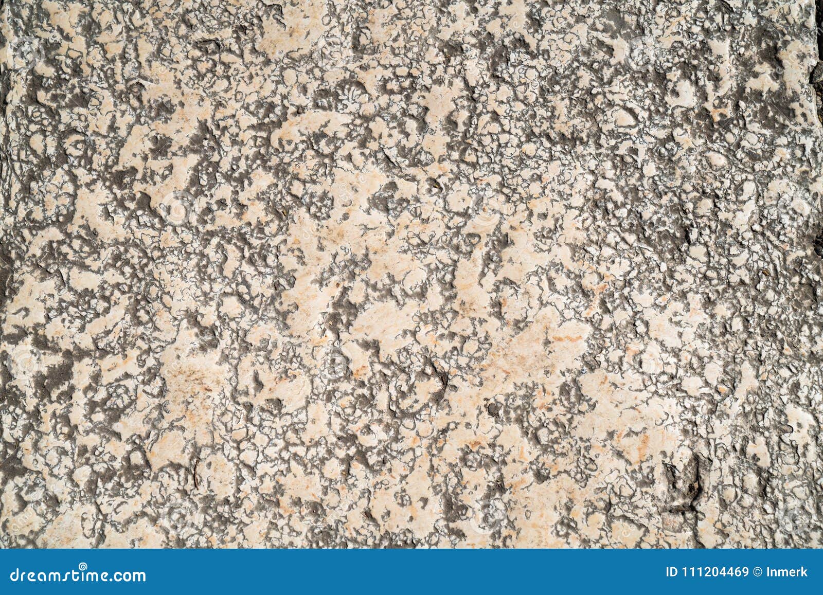 Sidewalk Tile, The Texture Of The Sidewalk On The Temple Mount In ...