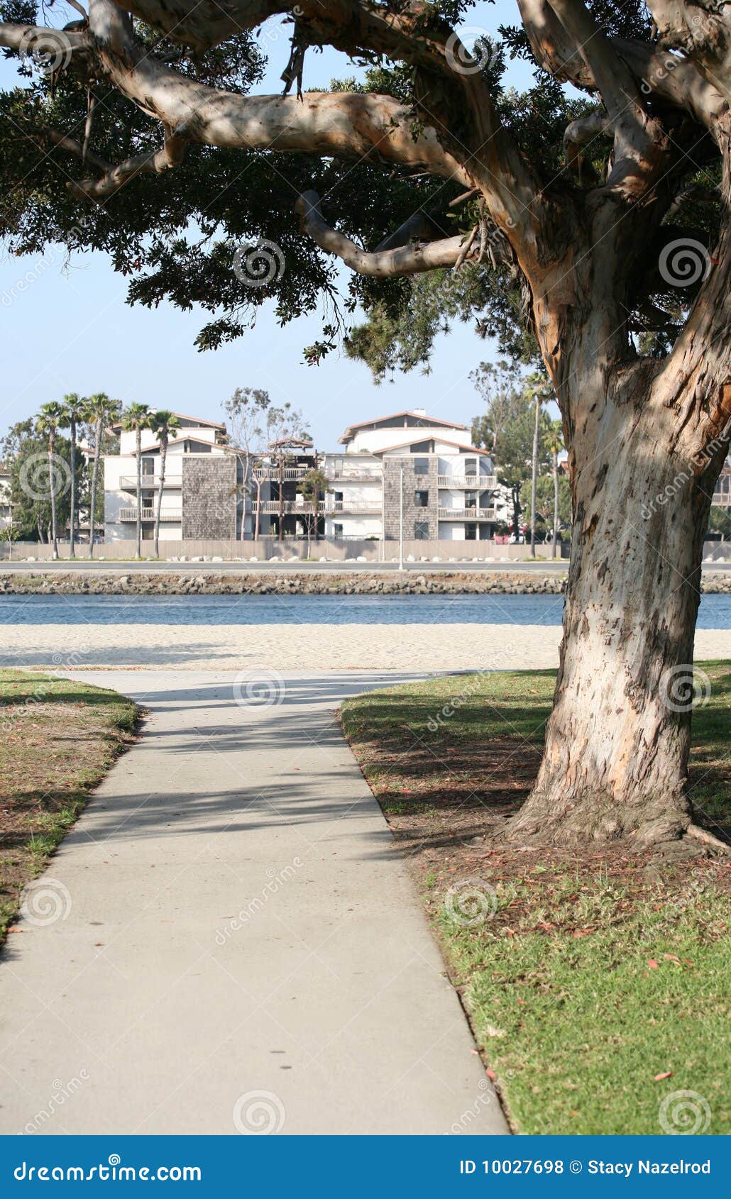 Sidewalk tree stock photo. Image of housing, grass, landscape - 10027698