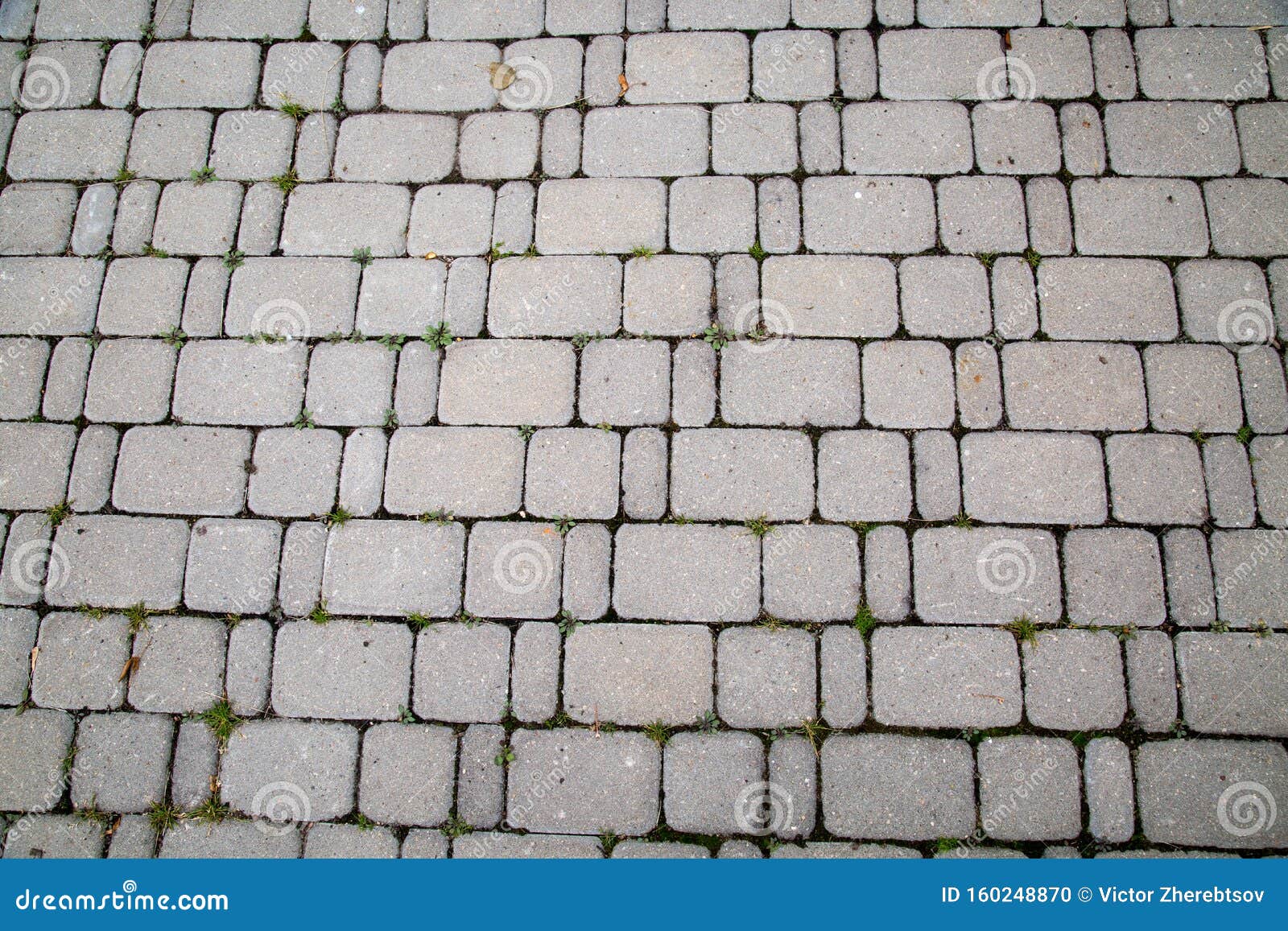 Rectangular, Gray Paving Slabs. Splattered With Light Paint Stock Image ...