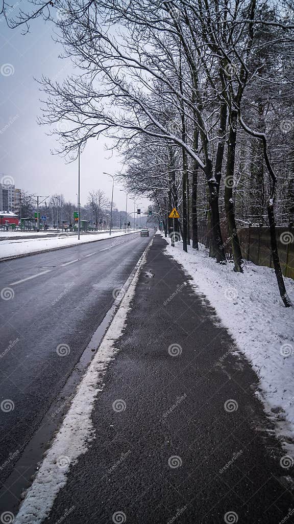 Sidewalk in winter stock photo. Image of landscape, park - 253193624