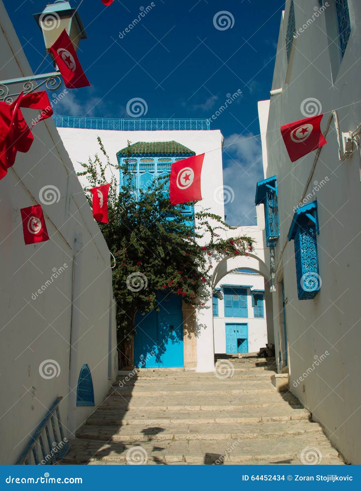 Sidi bou Said editorial stock image. Image of plant, africa - 64452434