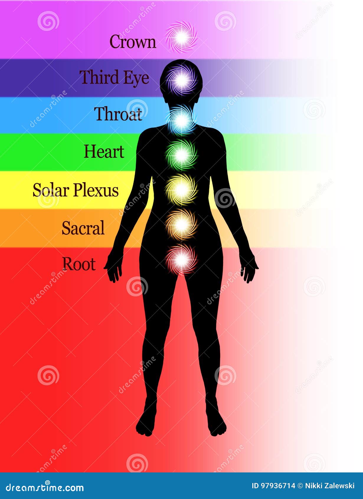 Sieben Major Chakras Diagram Stock Abbildung - Illustration von heilend, frau: 97936714