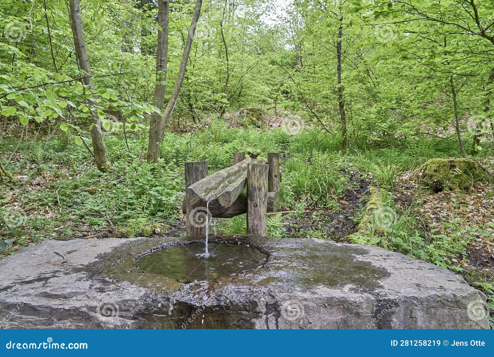Siegquelle, the Source of River Sieg in the Rothaargebierge Stock Image ...