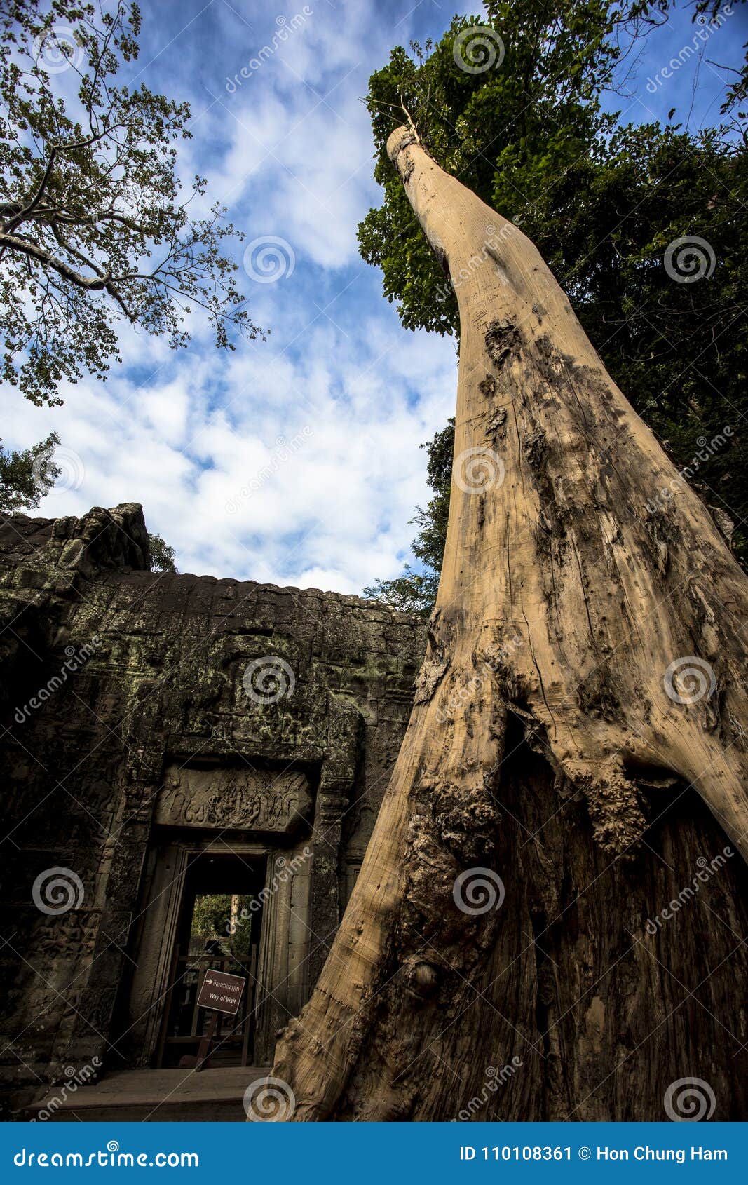 Siem Reap Angkor Wat Ta Prohm Tomb Raider Stock Image - Image of stone ... Siem Reap Angkor Wat Ta Prohm Tomb Raider Stock Image - Image of stone ...
