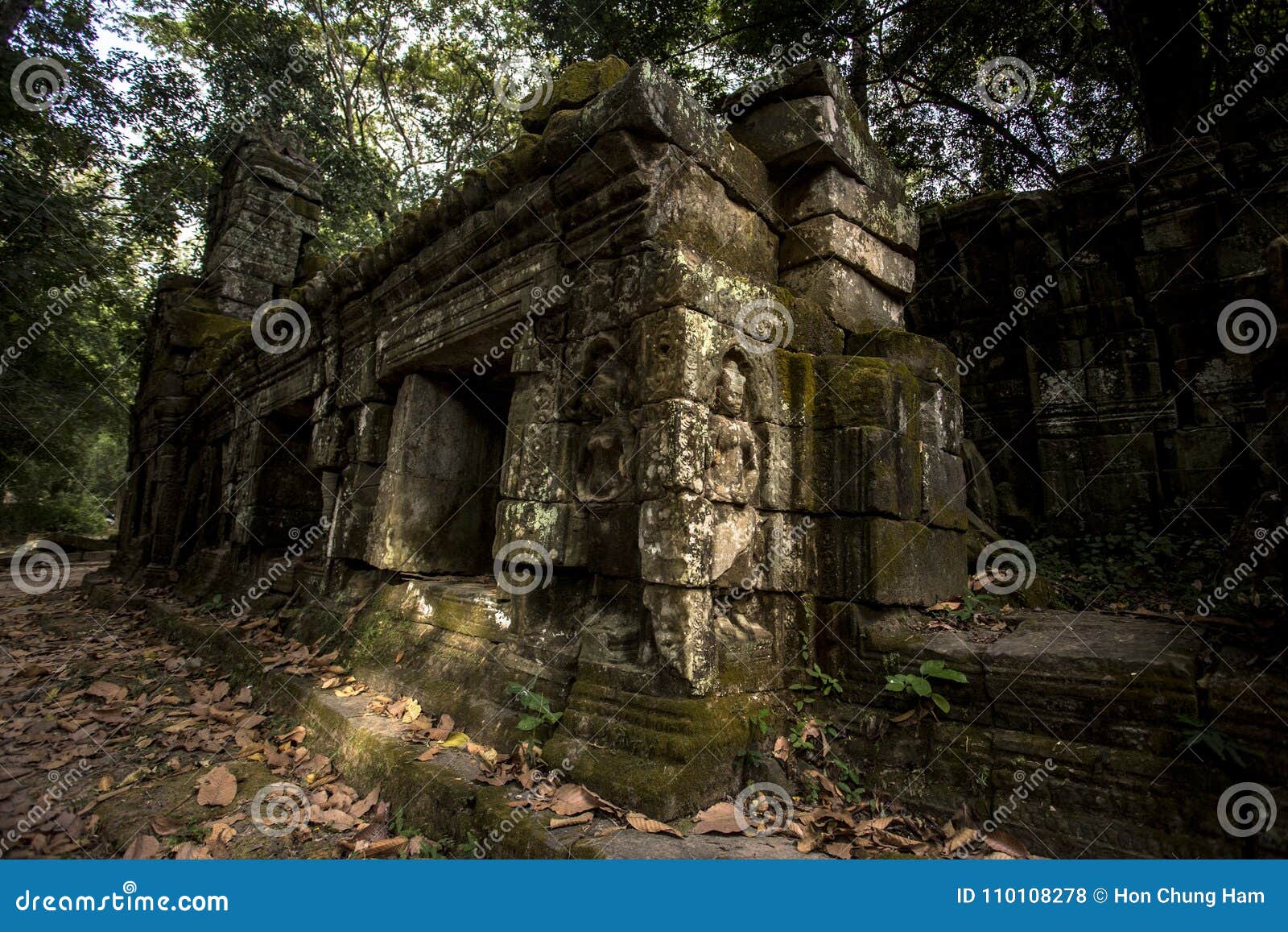 Siem Reap Angkor Wat Ta Prohm Tomb Raider Stock Photo - Image of park ... Siem Reap Angkor Wat Ta Prohm Tomb Raider Stock Photo - Image of park ...
