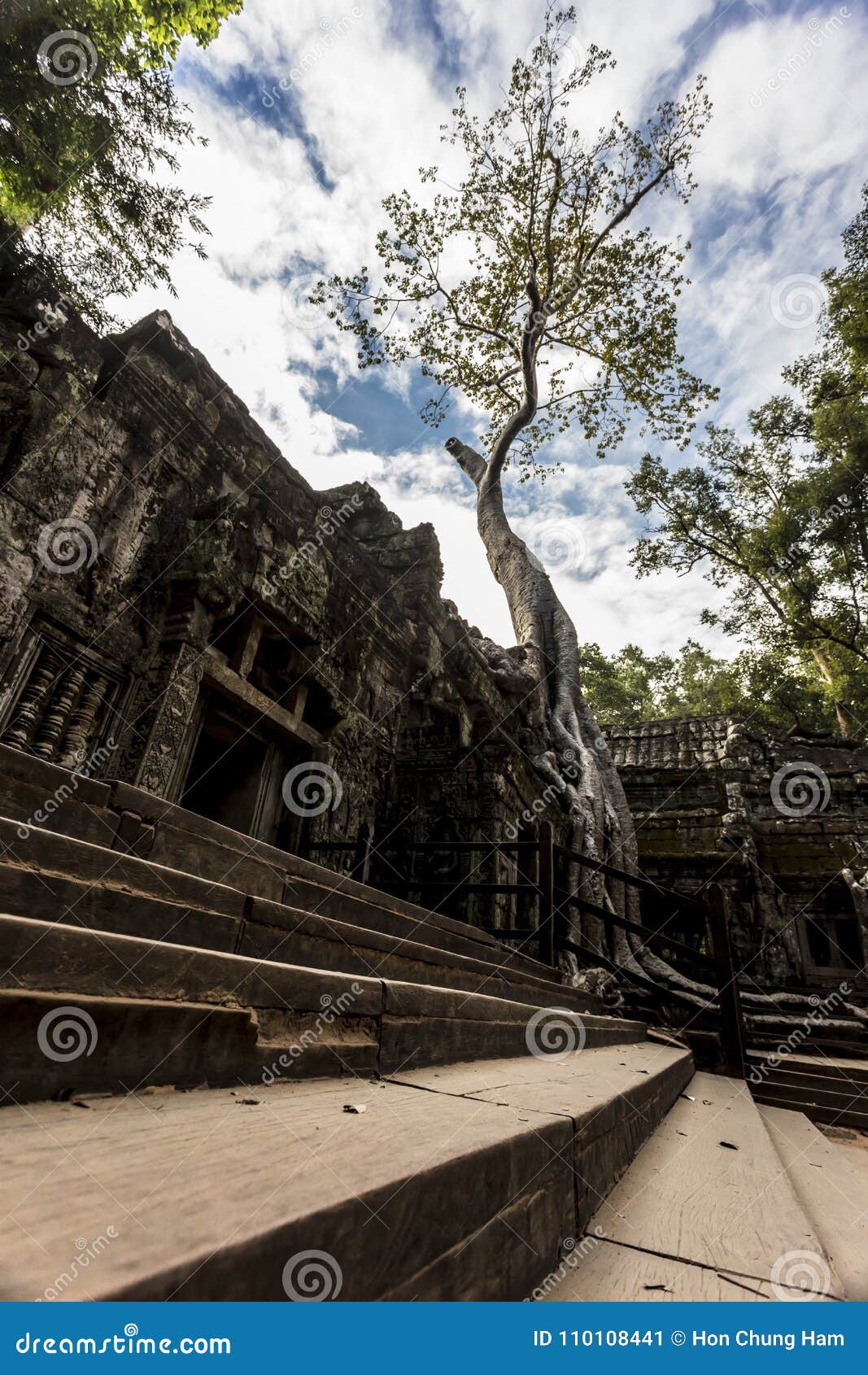 Siem Reap Angkor Wat Ta Prohm Tomb Raider Stock Image - Image of spring ... Siem Reap Angkor Wat Ta Prohm Tomb Raider Stock Image - Image of spring ...