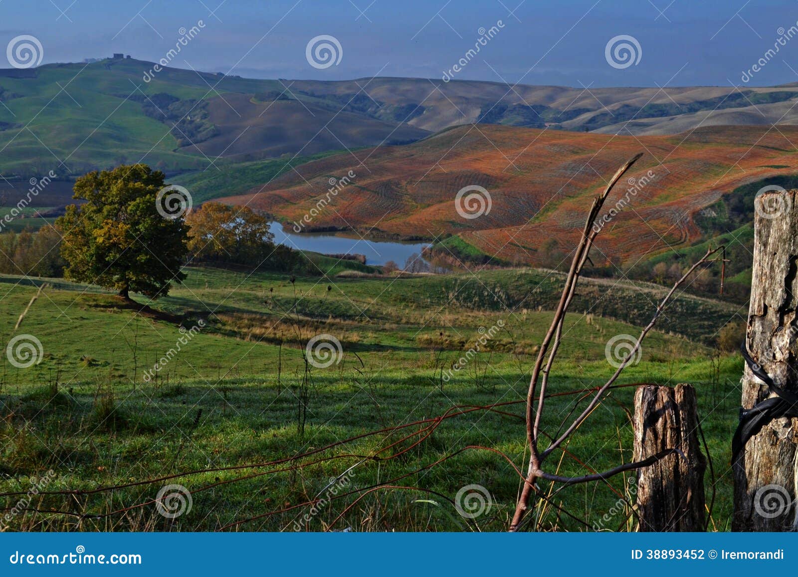 Siena landscape stock photo. Image of tree, natural, plant - 38893452