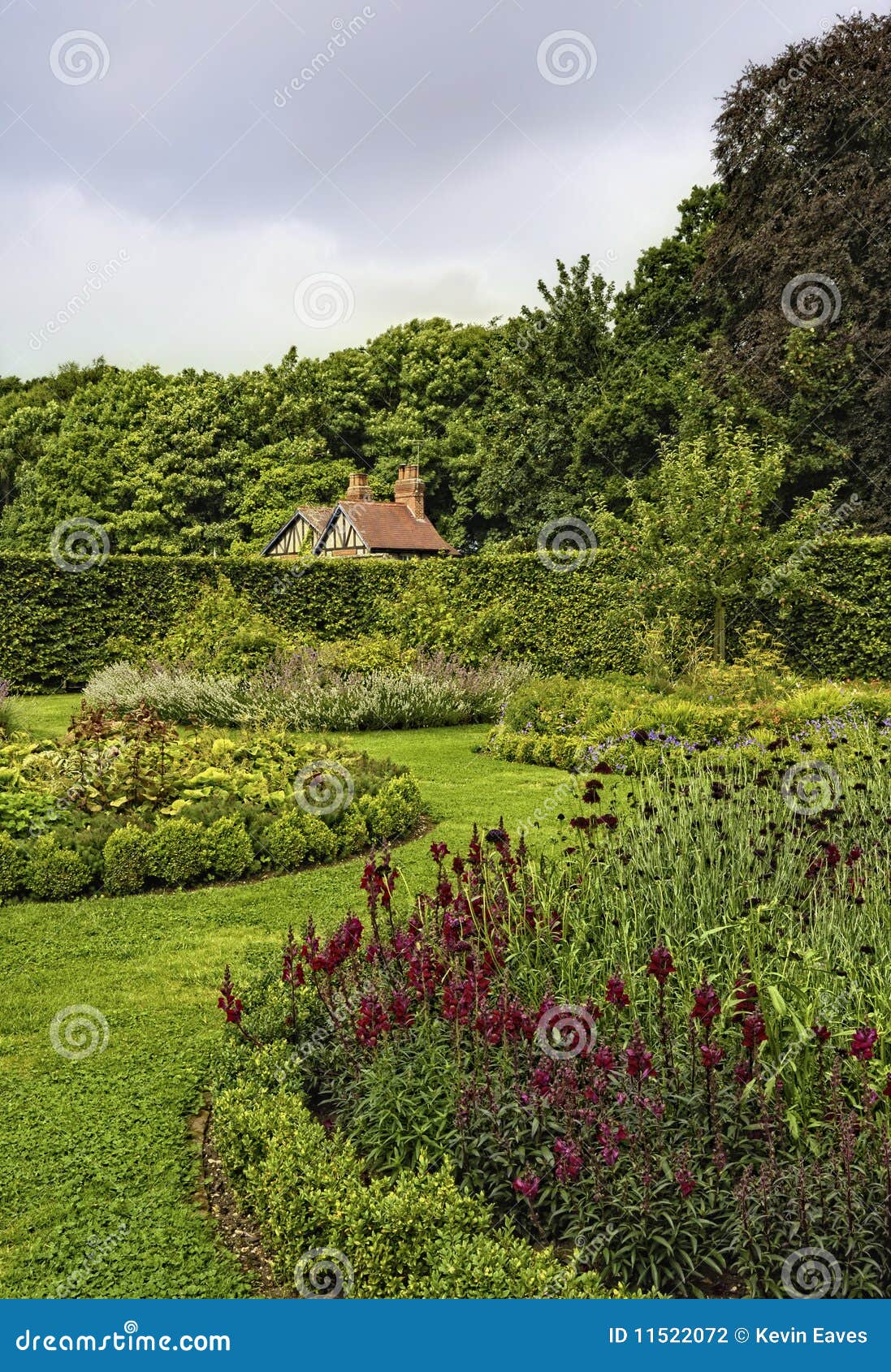 Sier Engelse tuin stock foto. Image of gepland, tuinbouw - 11522072