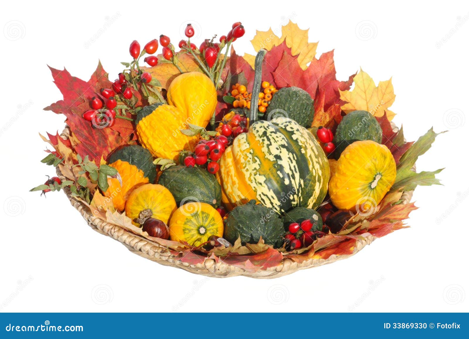 Sierpompoenen En Herfstdecoratie Stock Foto - Image of dankzegging ...