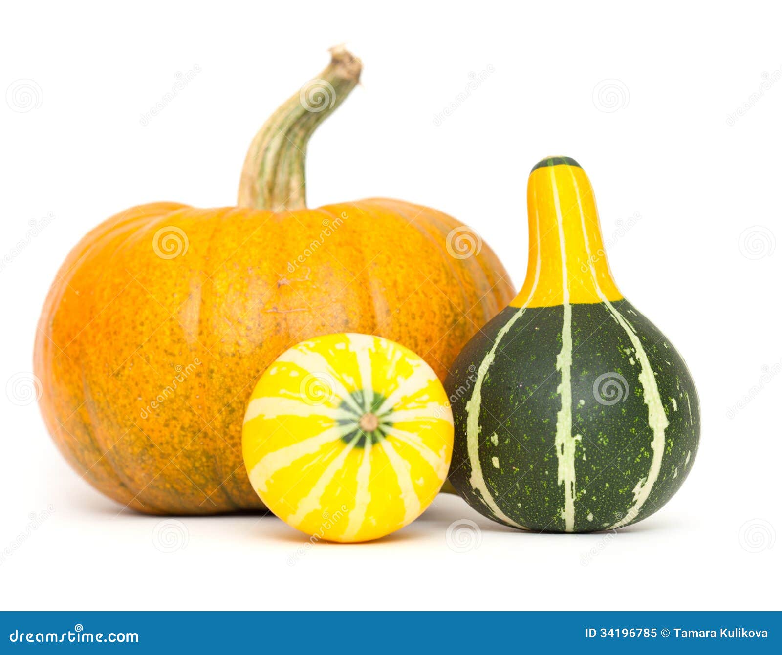 Sierpompoenen en pompoen stock afbeelding. Image of streep - 34196785
