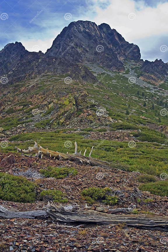 Sierra Buttes stock photo. Image of trails, trees, buttes - 12175924