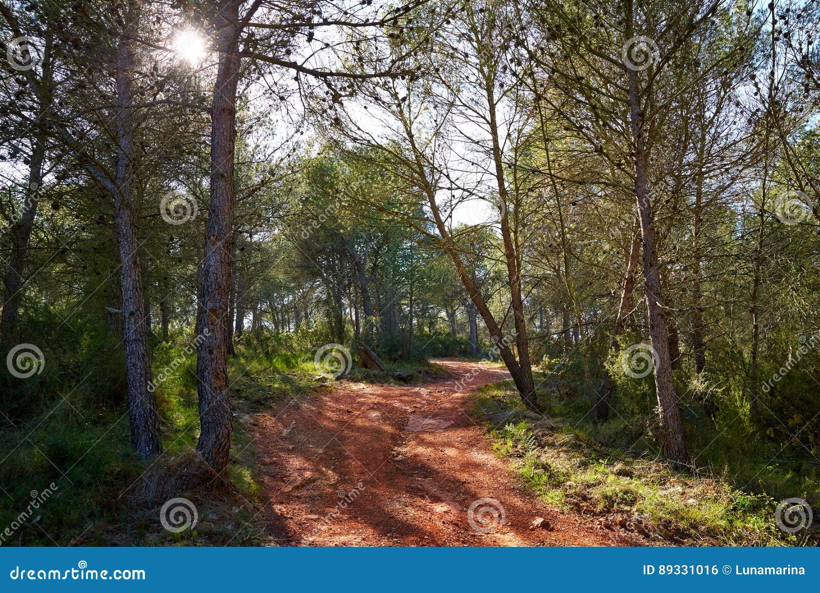 Sierra Calderona Mountains in Valencia Stock Photo - Image of rock ...