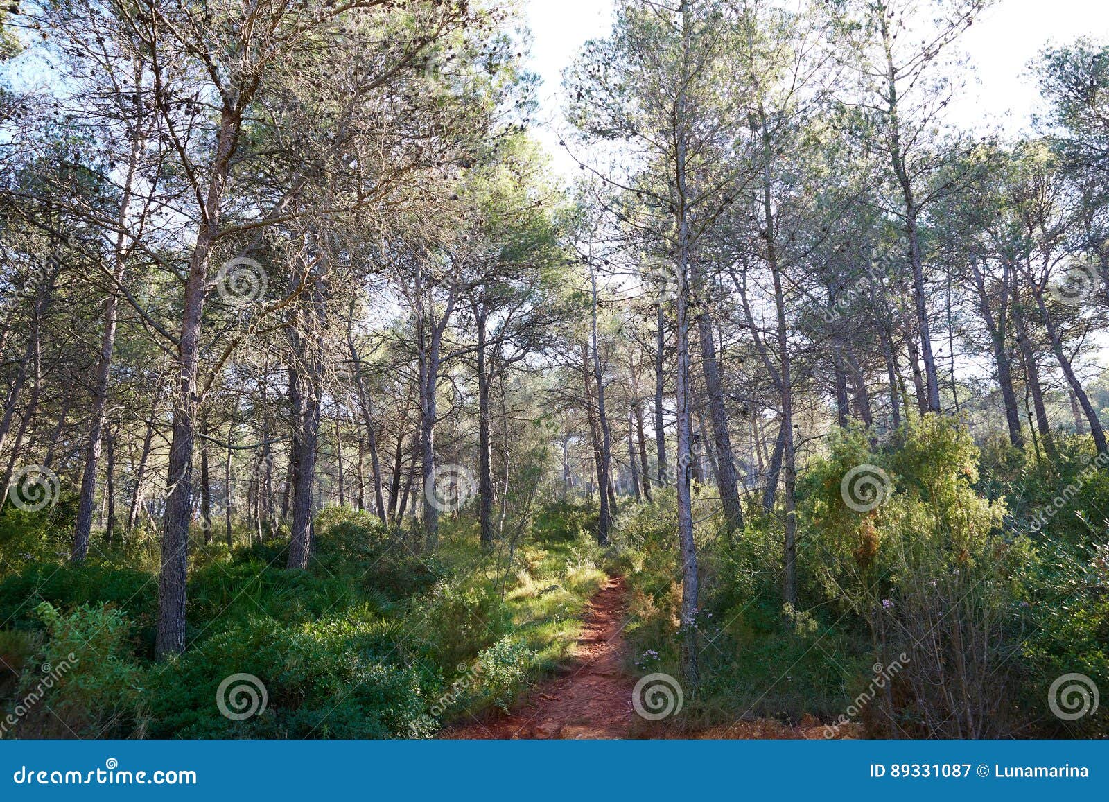 Sierra Calderona Mountains in Valencia Stock Image - Image of garbi ...