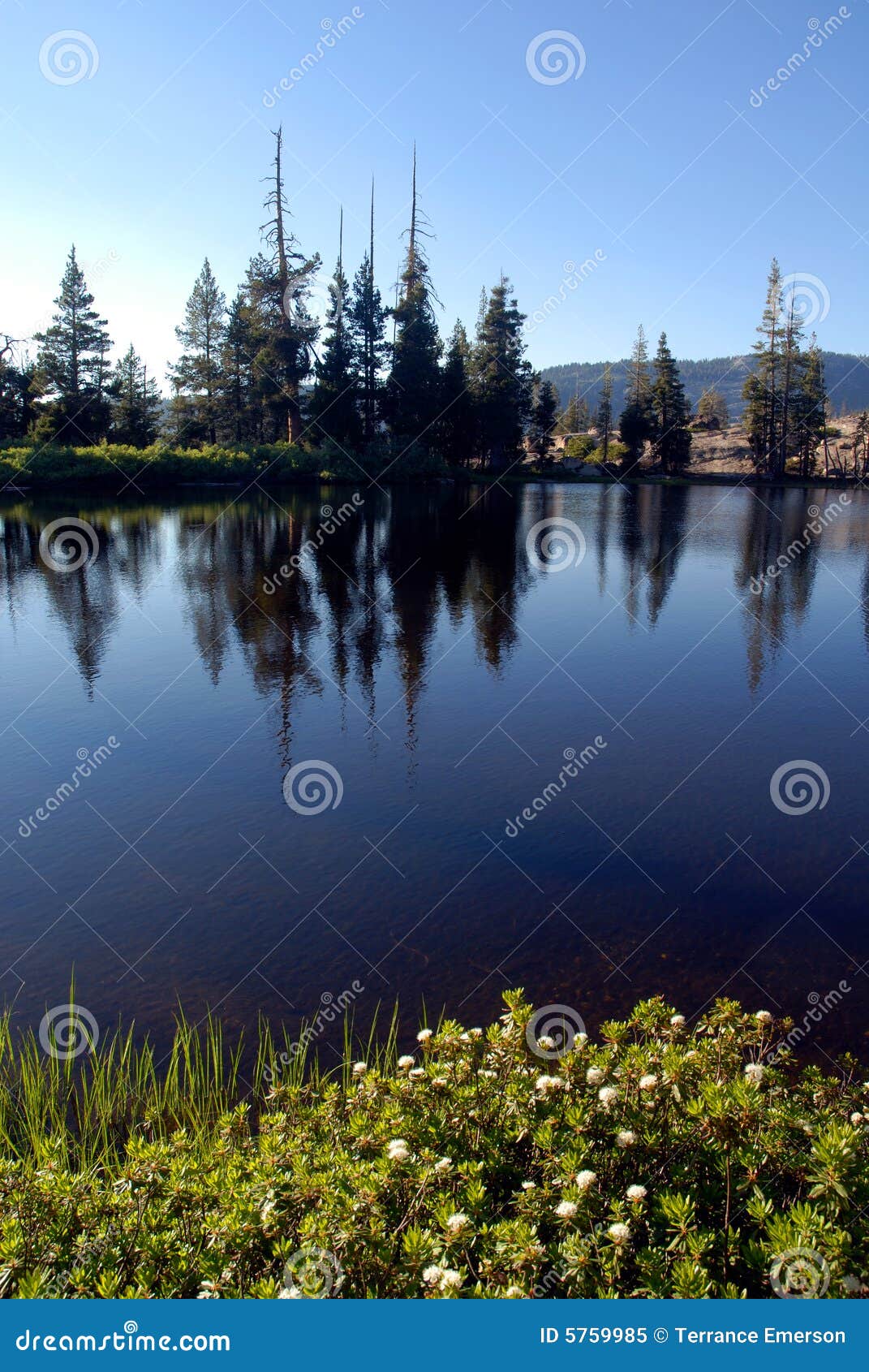 Sierra Lake Reflection stock image. Image of water, forest - 5759985