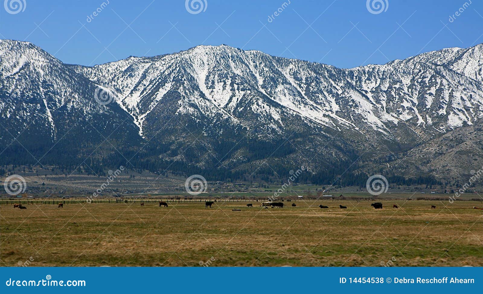 The Sierra Mountains stock photo. Image of nevada, green - 14454538
