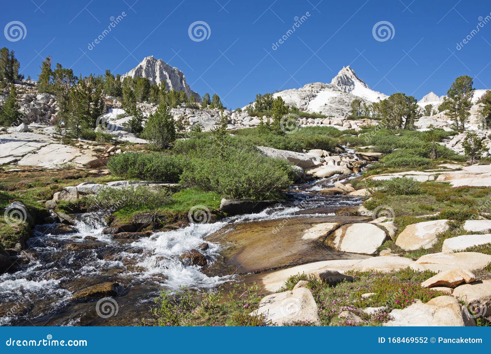 Sierra Nevada Stream stock photo. Image of water, peaks - 168469552