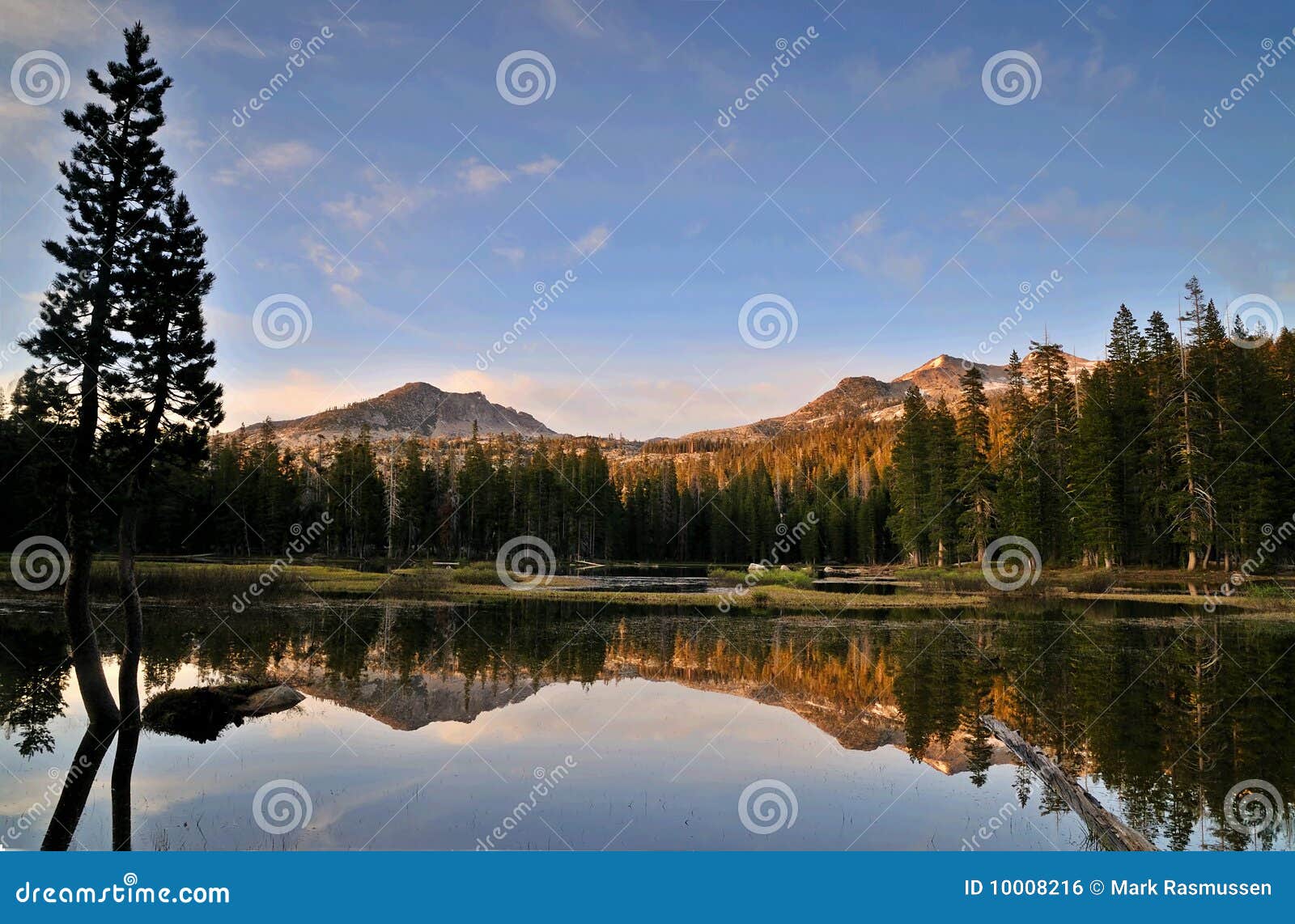 Sierra sunset stock photo. Image of serene, trees, sunset - 10008216