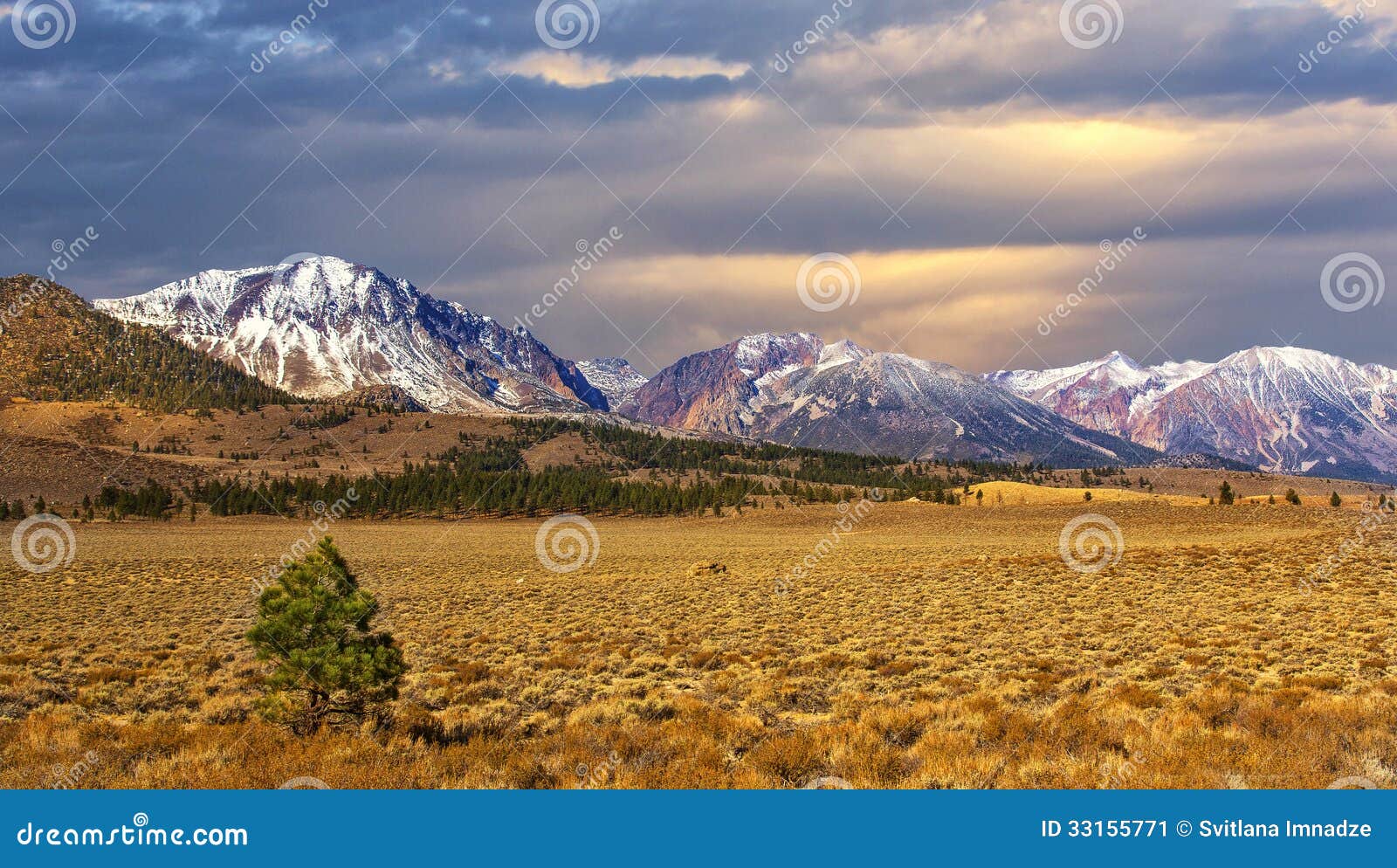 Sierra at Sunset stock image. Image of sierra, tree, sunset - 33155771