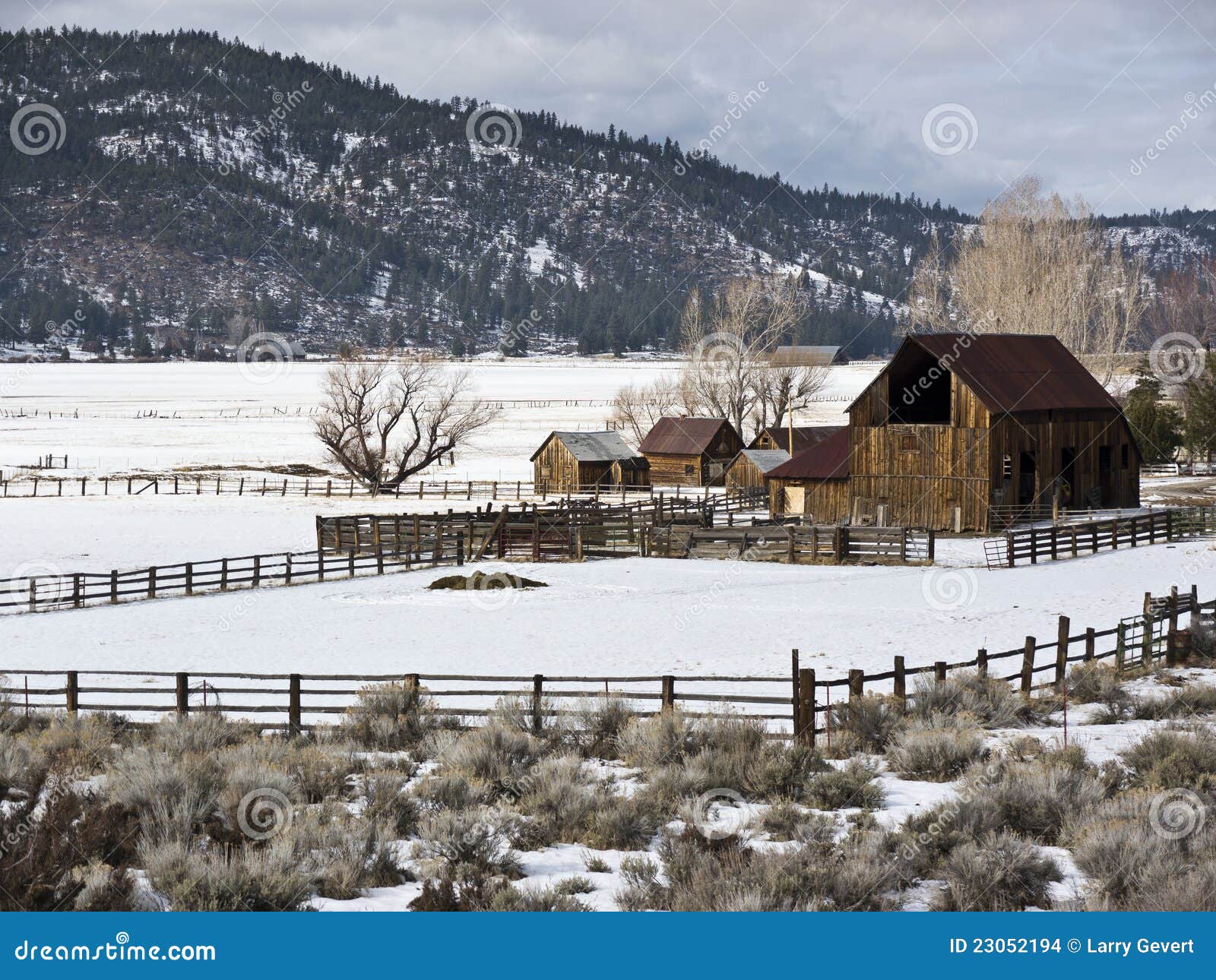 Sierra Valley Ranch in Winter Stock Photo - Image of homestead, frost ...