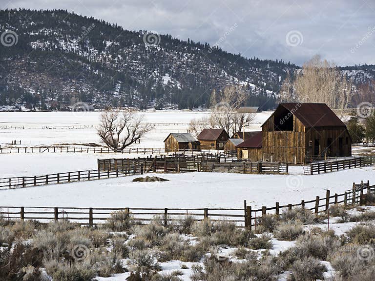 Sierra Valley Ranch in Winter Stock Photo - Image of homestead, frost ...
