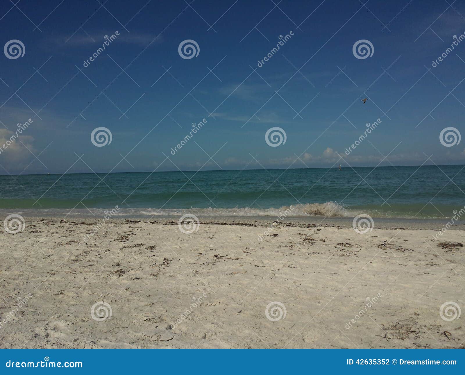 Siesta key beach stock photo. Image of siesta, sand, beach - 42635352