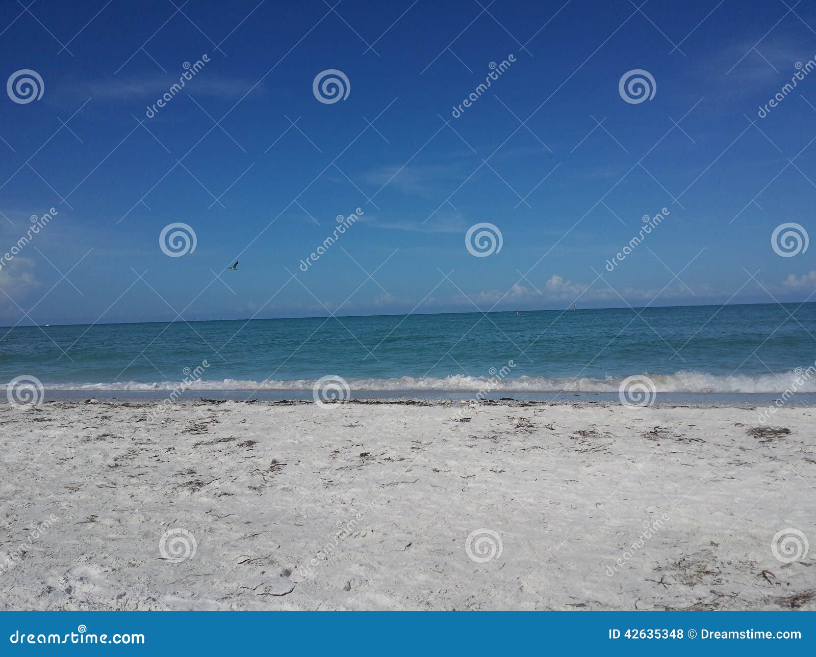 Siesta key beach stock photo. Image of siesta, water - 42635348
