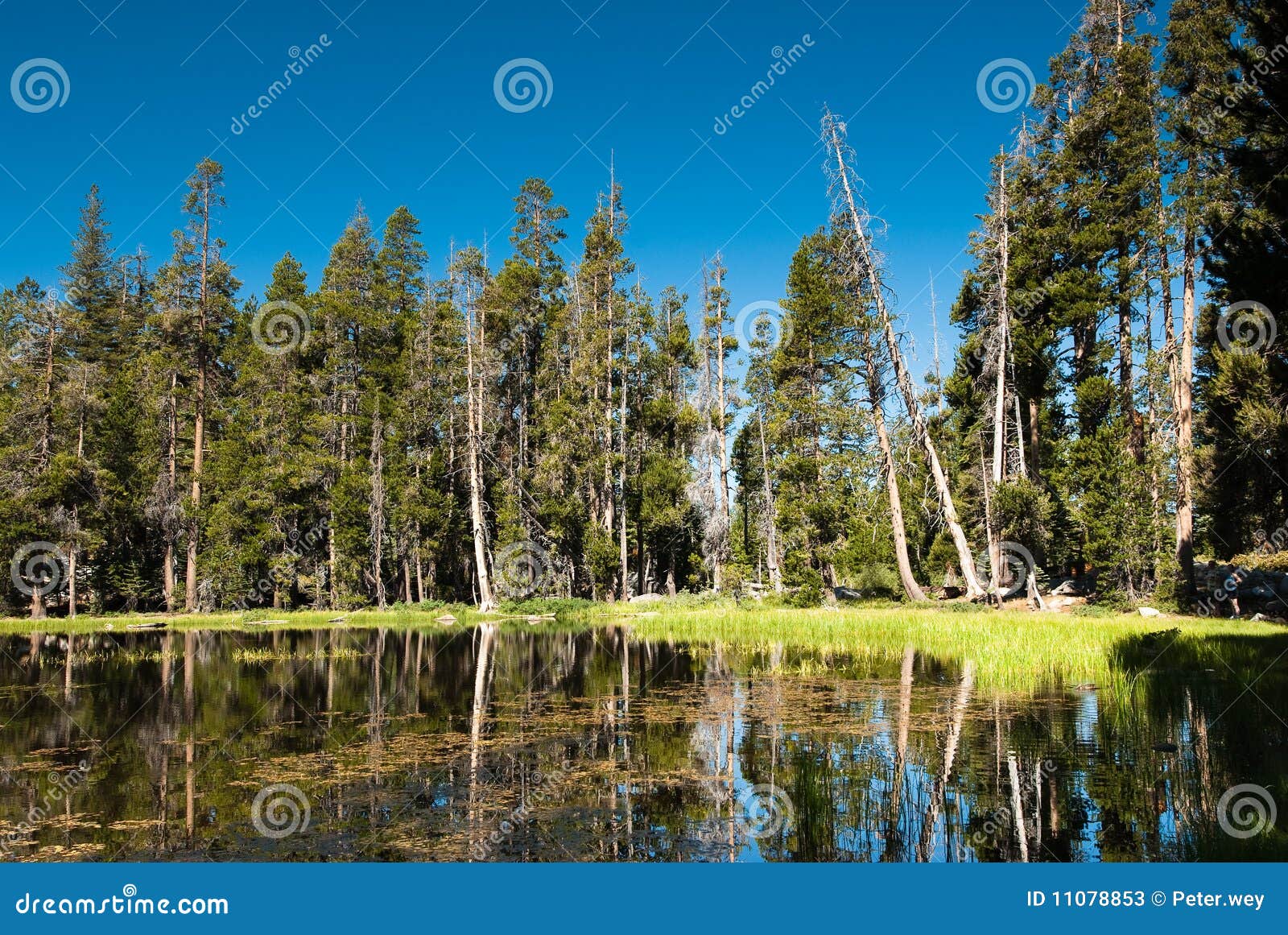 Siesta lake stock image. Image of siesta, panorama, outdoor - 11078853